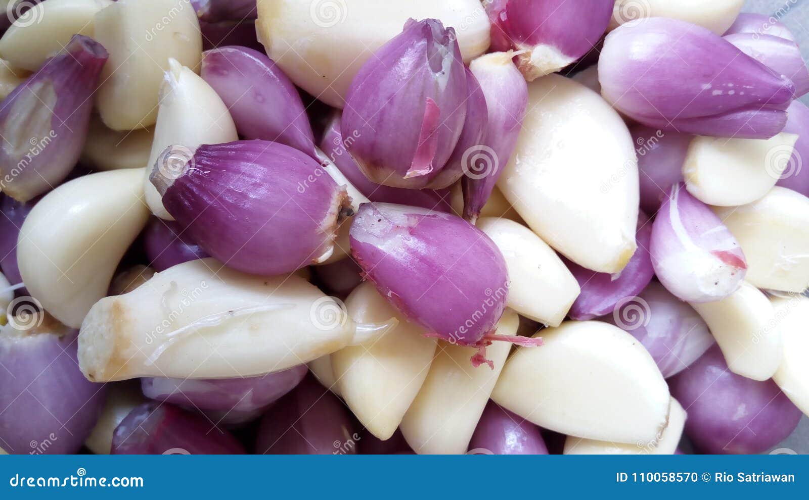 Healthy union vegetable stock photo. Image of white - 110058570