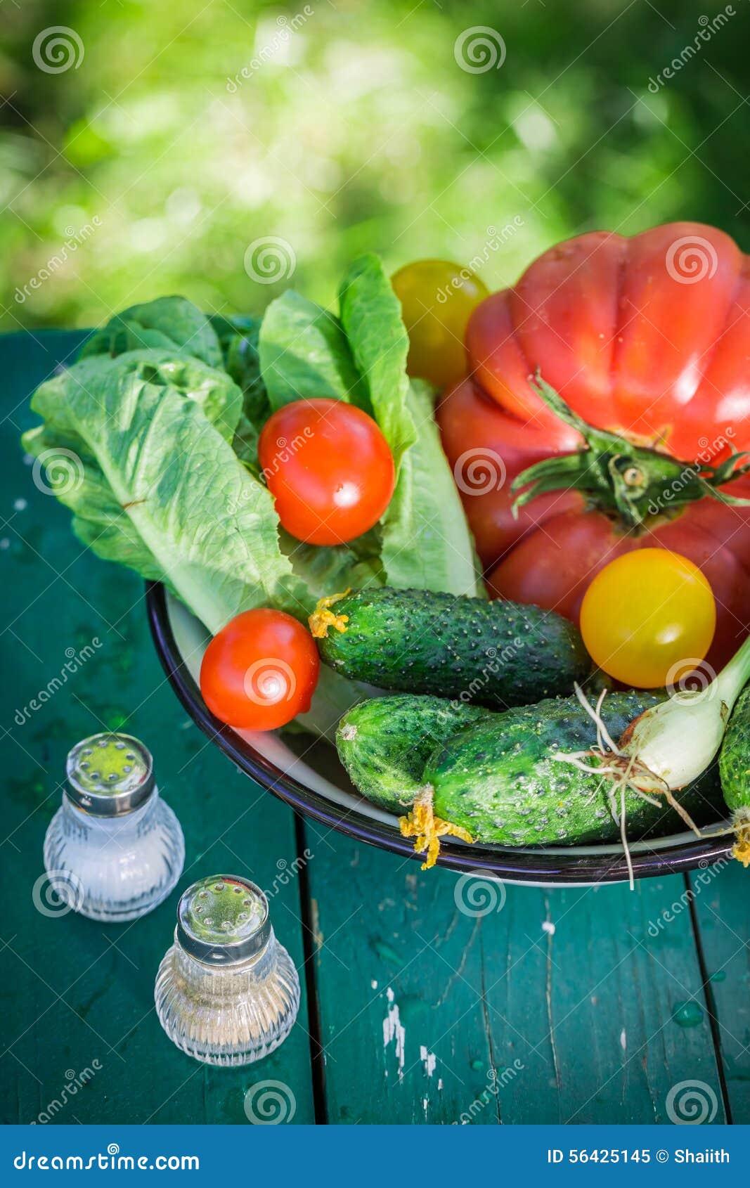 Healthy Vegetables from Countryside Stock Image - Image of lettuce ...