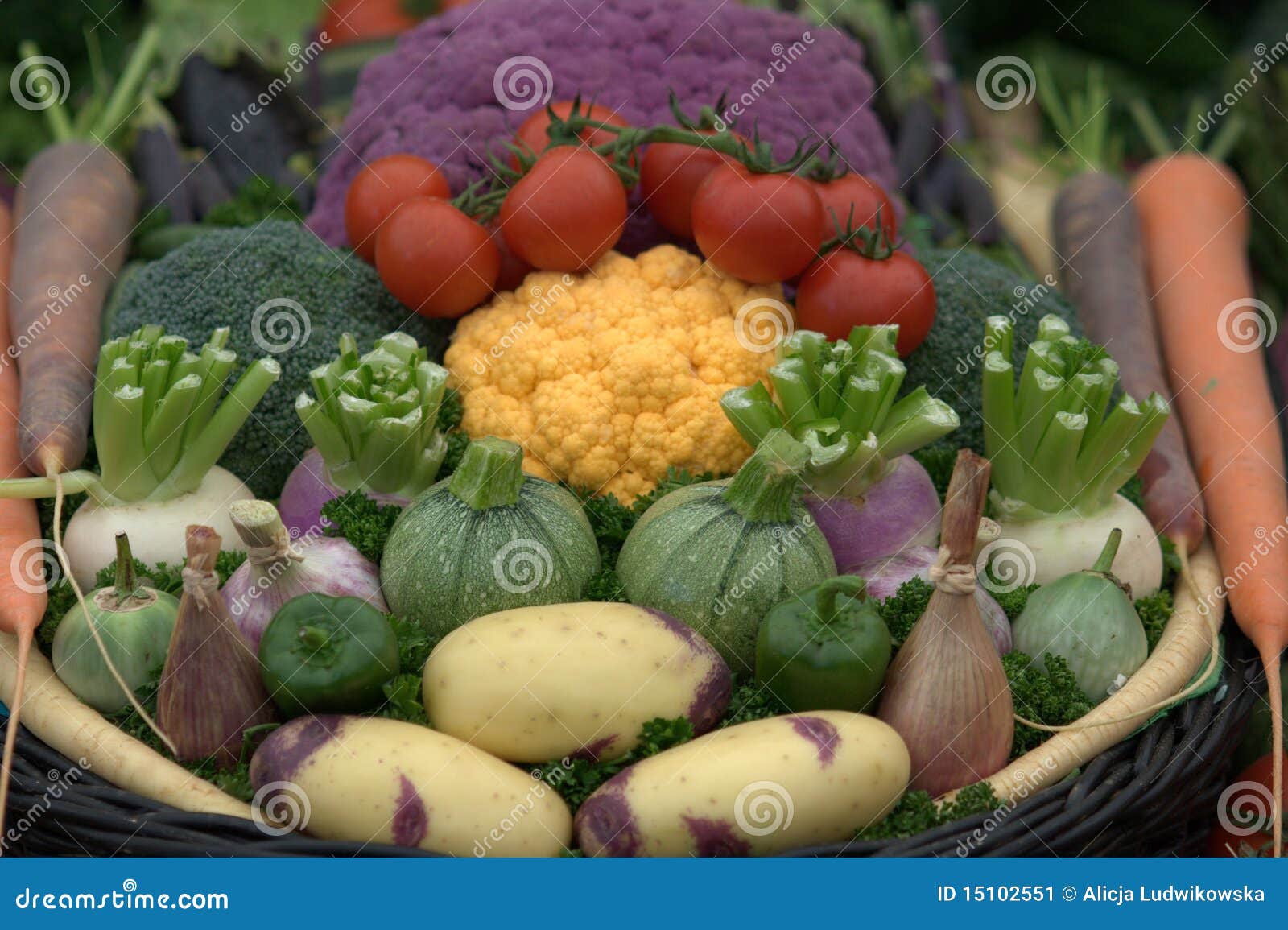 Healthy Vegetables Selection Stock Image - Image of country, green ...