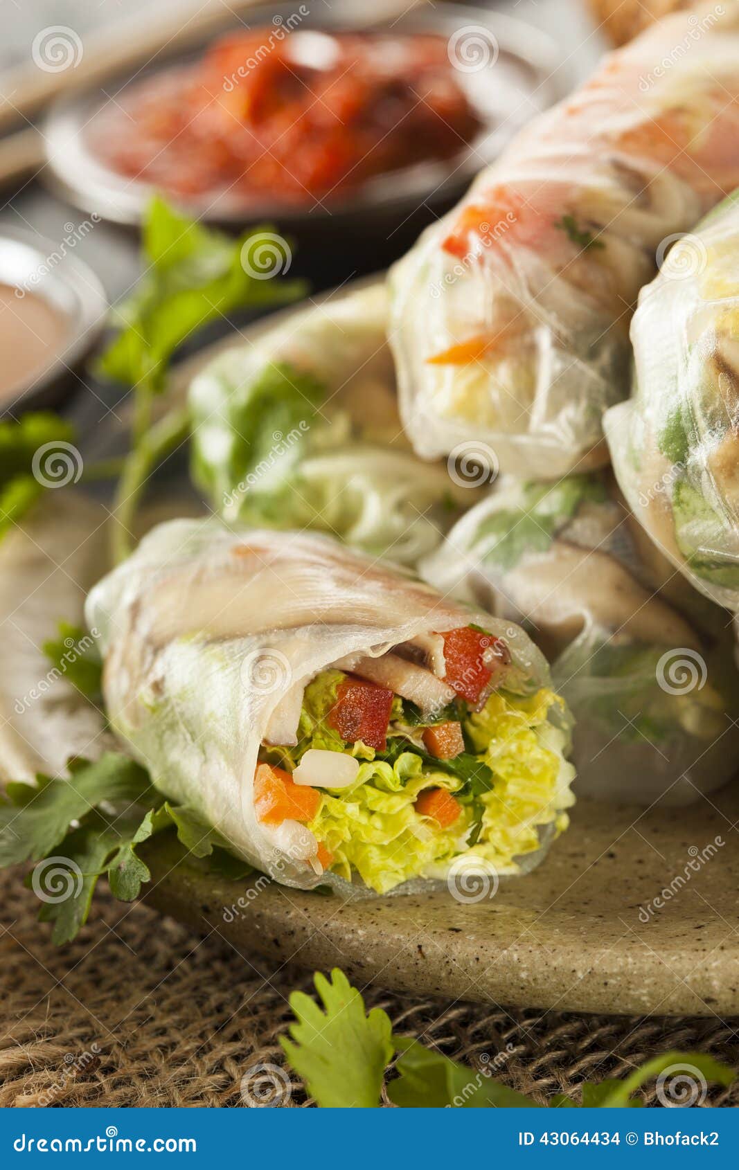 Healthy Vegetarian Spring Rolls Stock Photo - Image of stuffed, spring ...