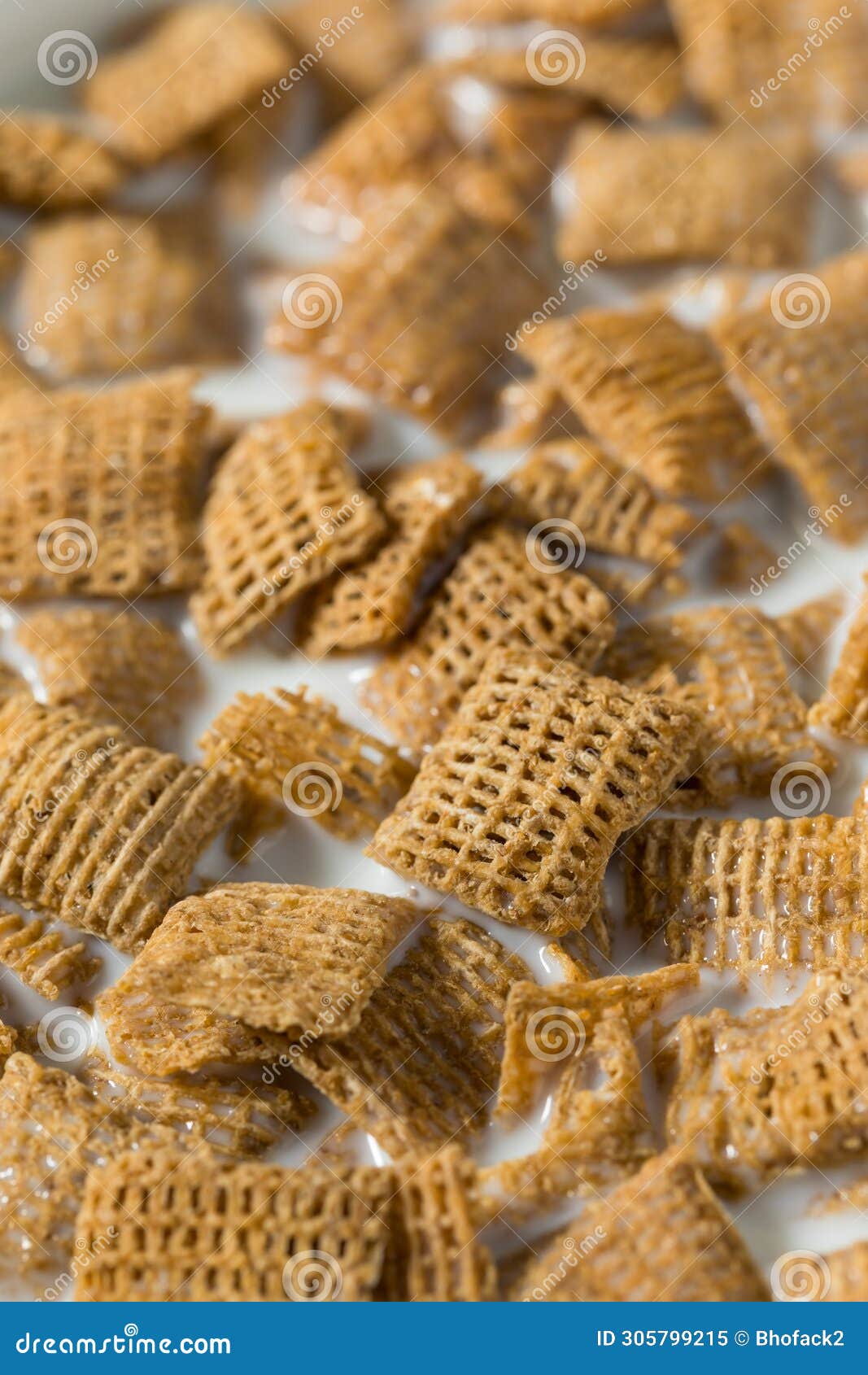 Healthy Wheat Squares Breakfast Cereal Stock Image - Image of natural ...