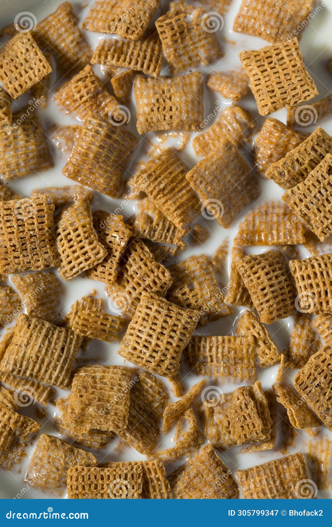 Healthy Wheat Squares Breakfast Cereal Stock Image - Image of diet ...