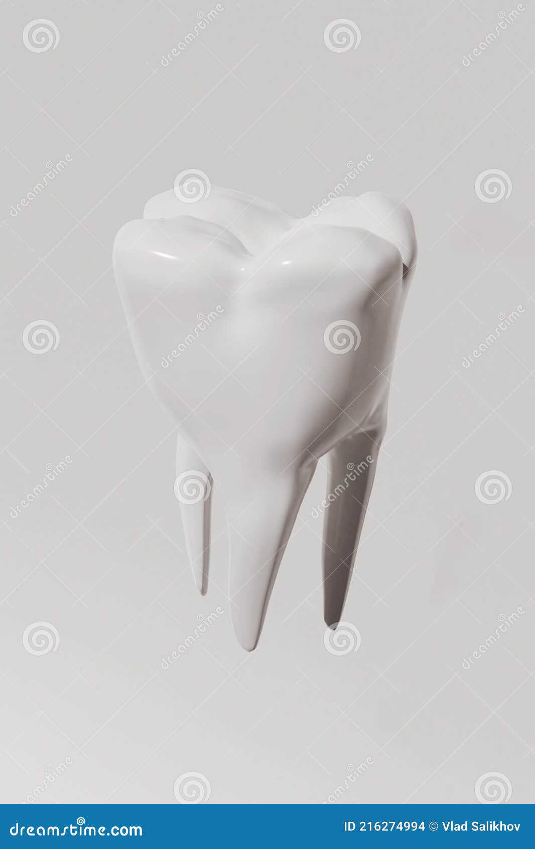 A Healthy White Molar Tooth with Three Roots on a White Background ...