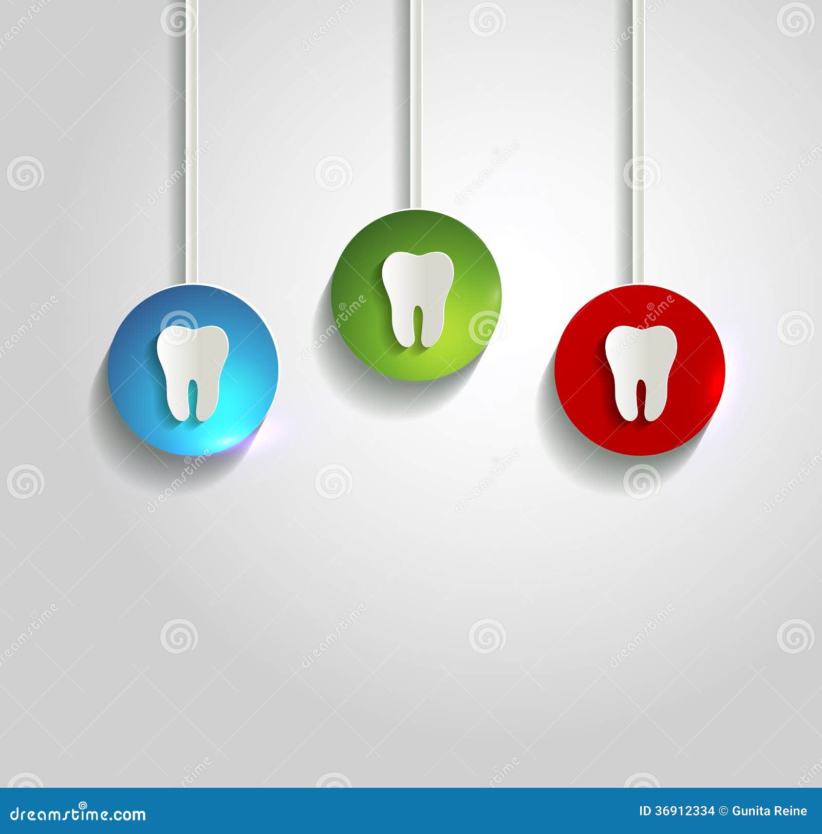 Healthy White Tooth, Gums And Bone Illustration, Detailed Anatomy ...