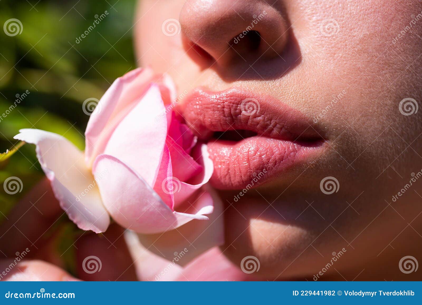 Healthy Woman Lip. Beautiful Woman Lips with Rose. Stock Photo - Image ...