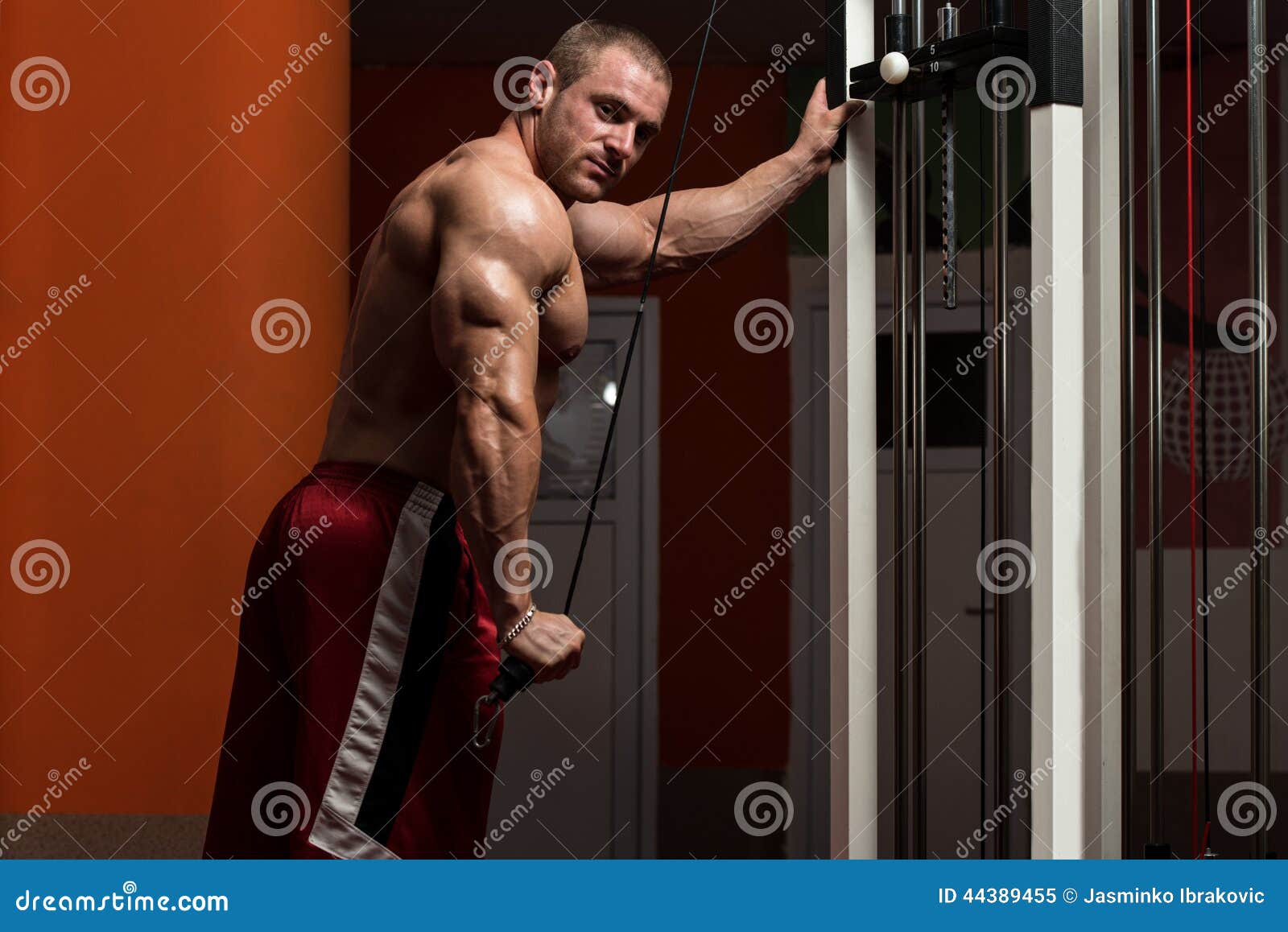 Healthy Young Man Doing Exercise for Triceps Stock Image - Image of ...
