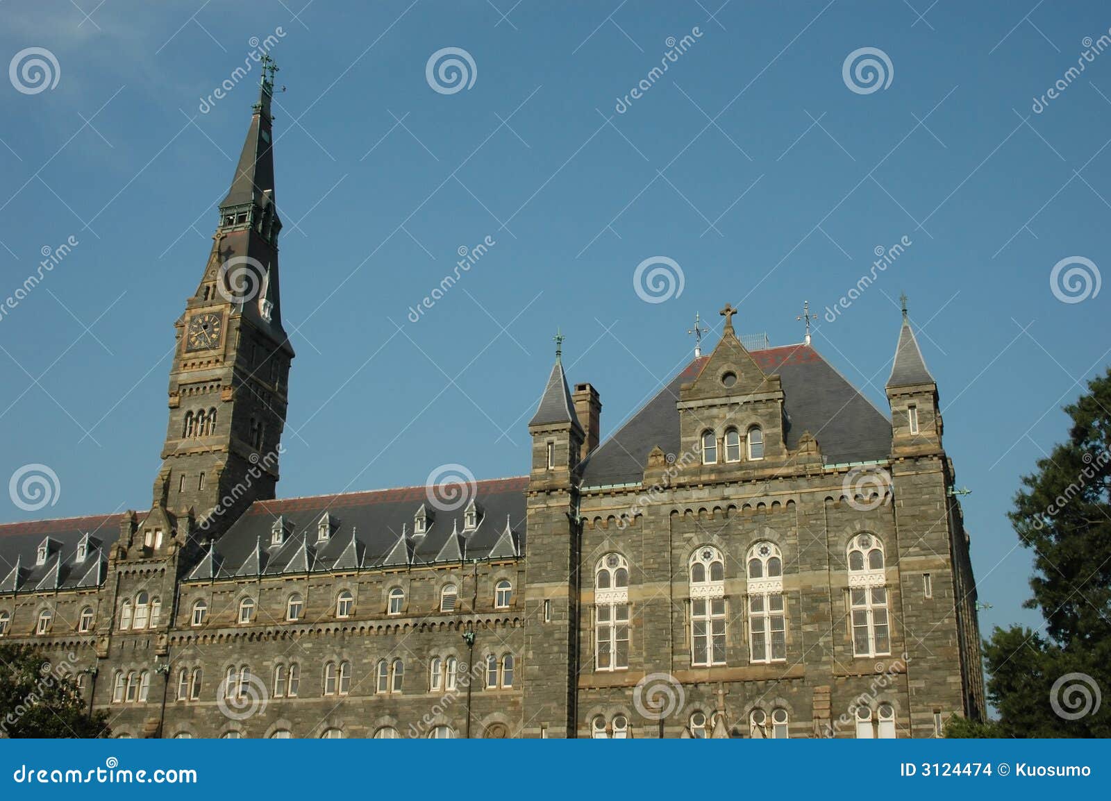 Healy Hall and the Clock Tower Stock Photo - Image of building ...