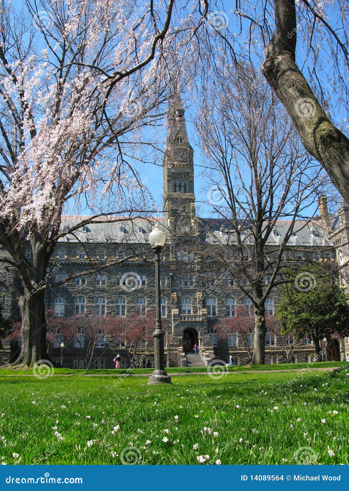 Healy Hall - Georgetown University Stock Photo - Image of education ...