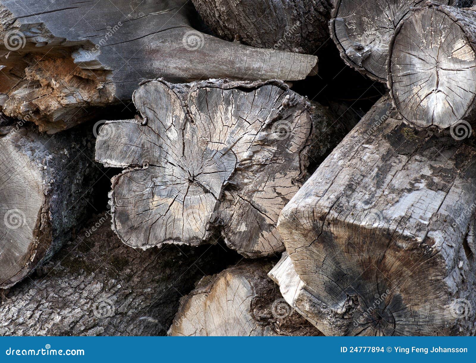 Heap of ancient logs stock photo. Image of industry, hardwood - 24777894