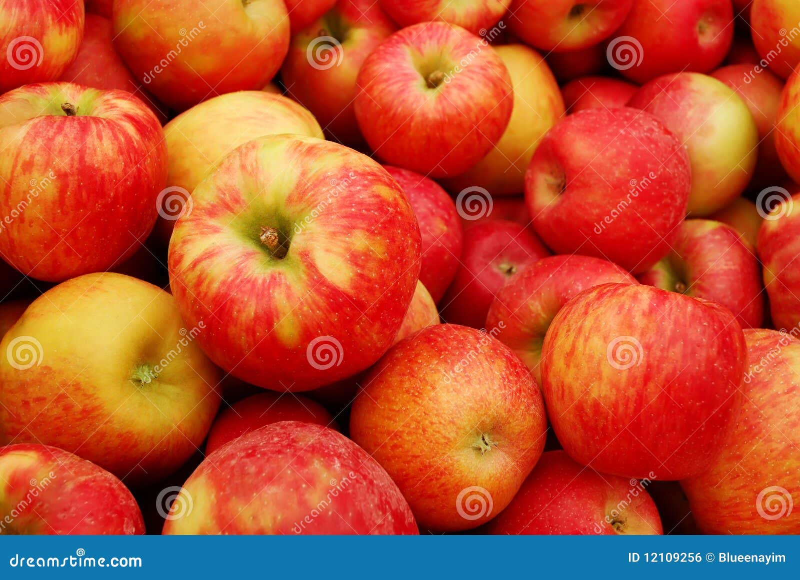 Heap of Apples stock photo. Image of grocery, colors - 12109256