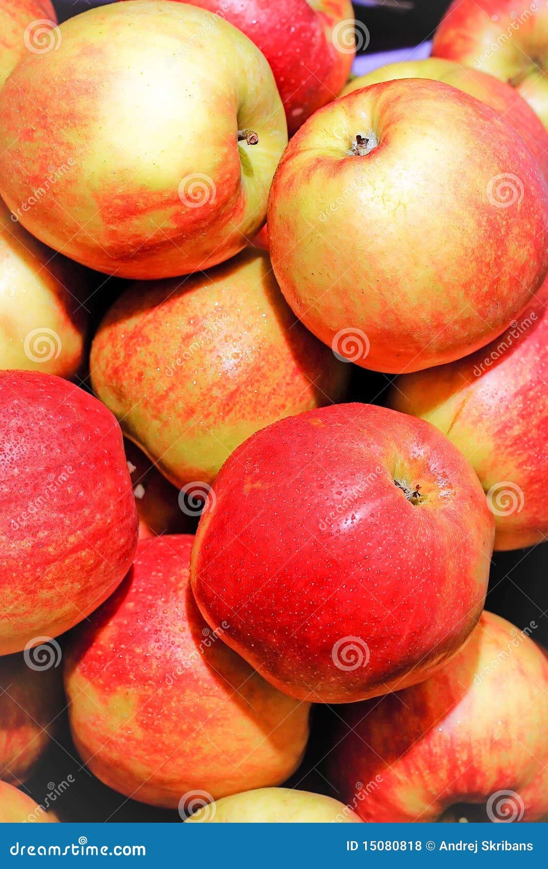 Heap of apples stock photo. Image of vegetarian, stacking - 15080818