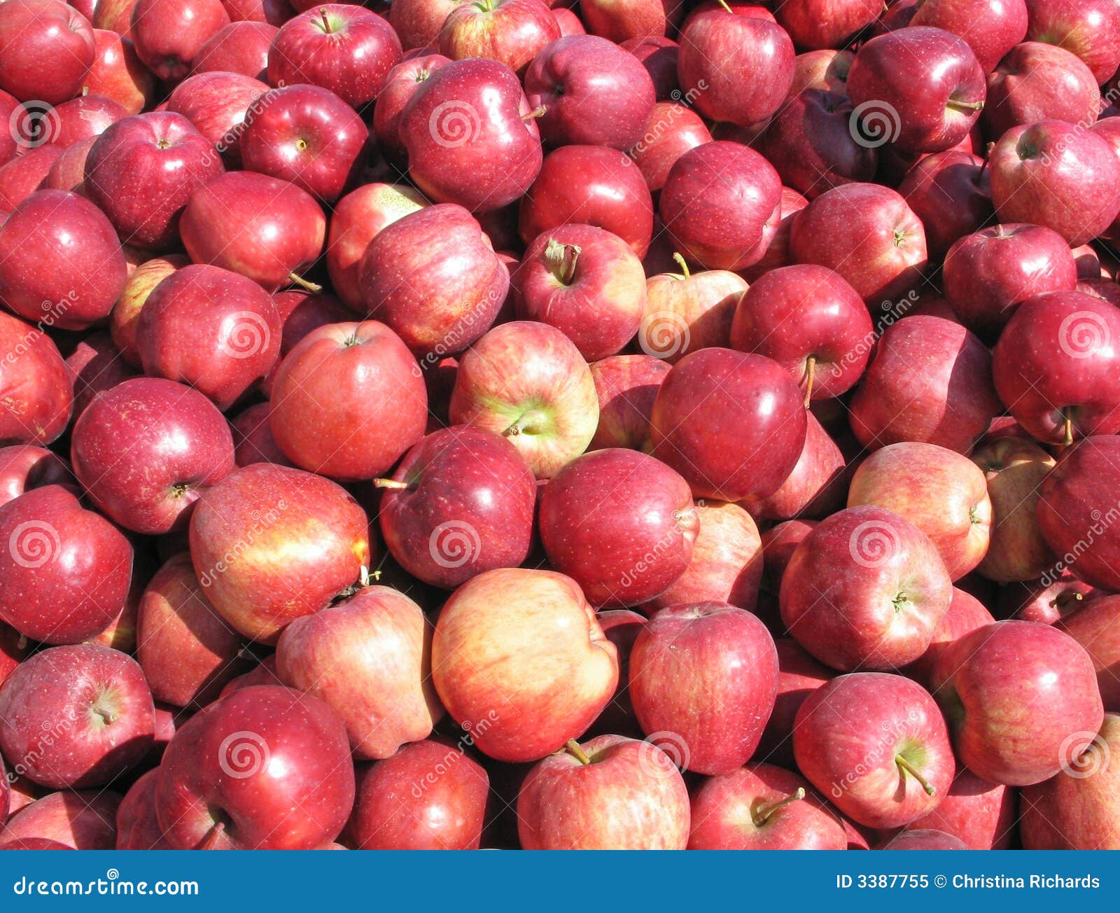 Heap of apples stock image. Image of multiple, fresh, globe - 3387755
