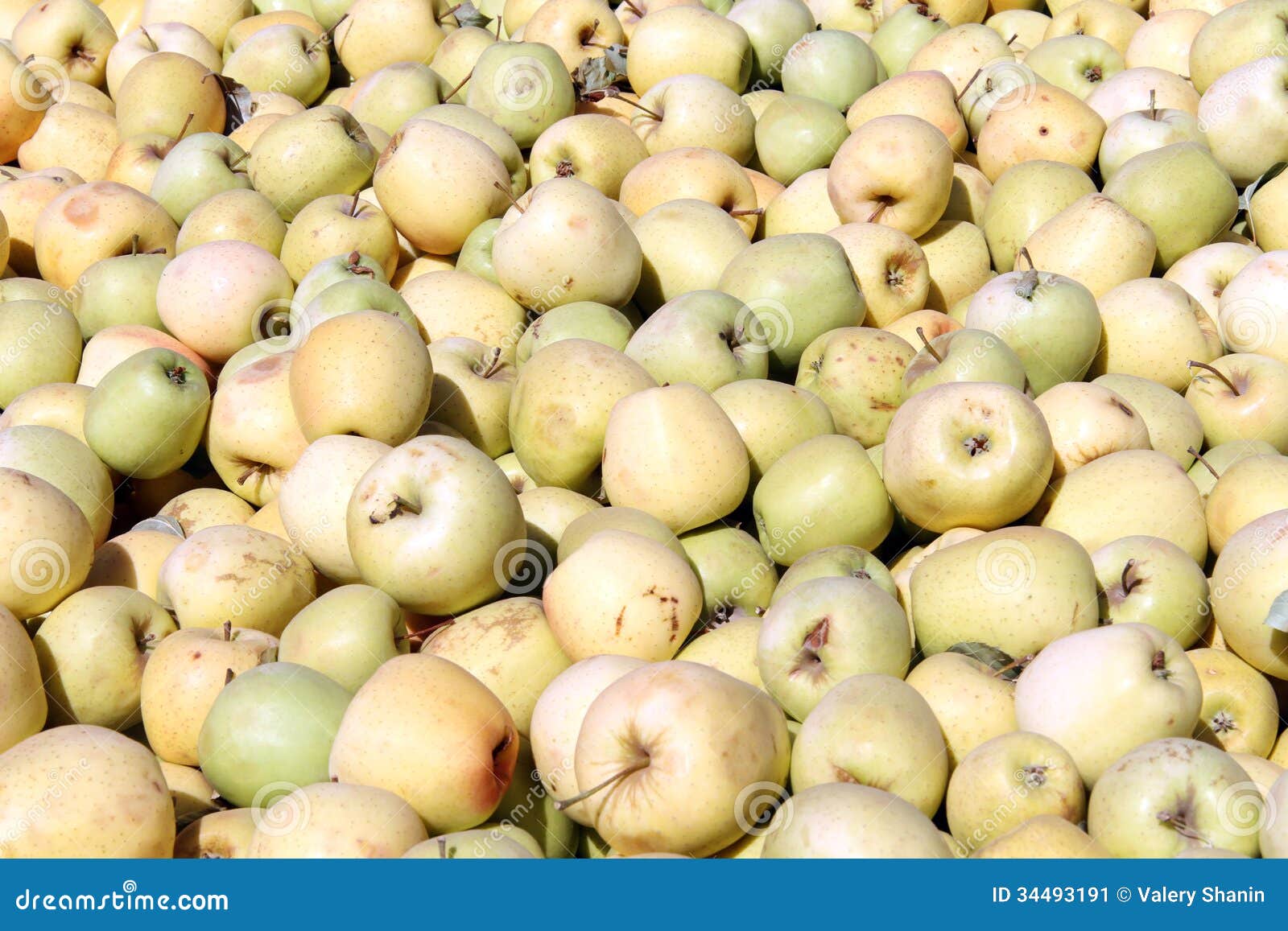 Heap of apples stock image. Image of autumn, green, apple - 34493191
