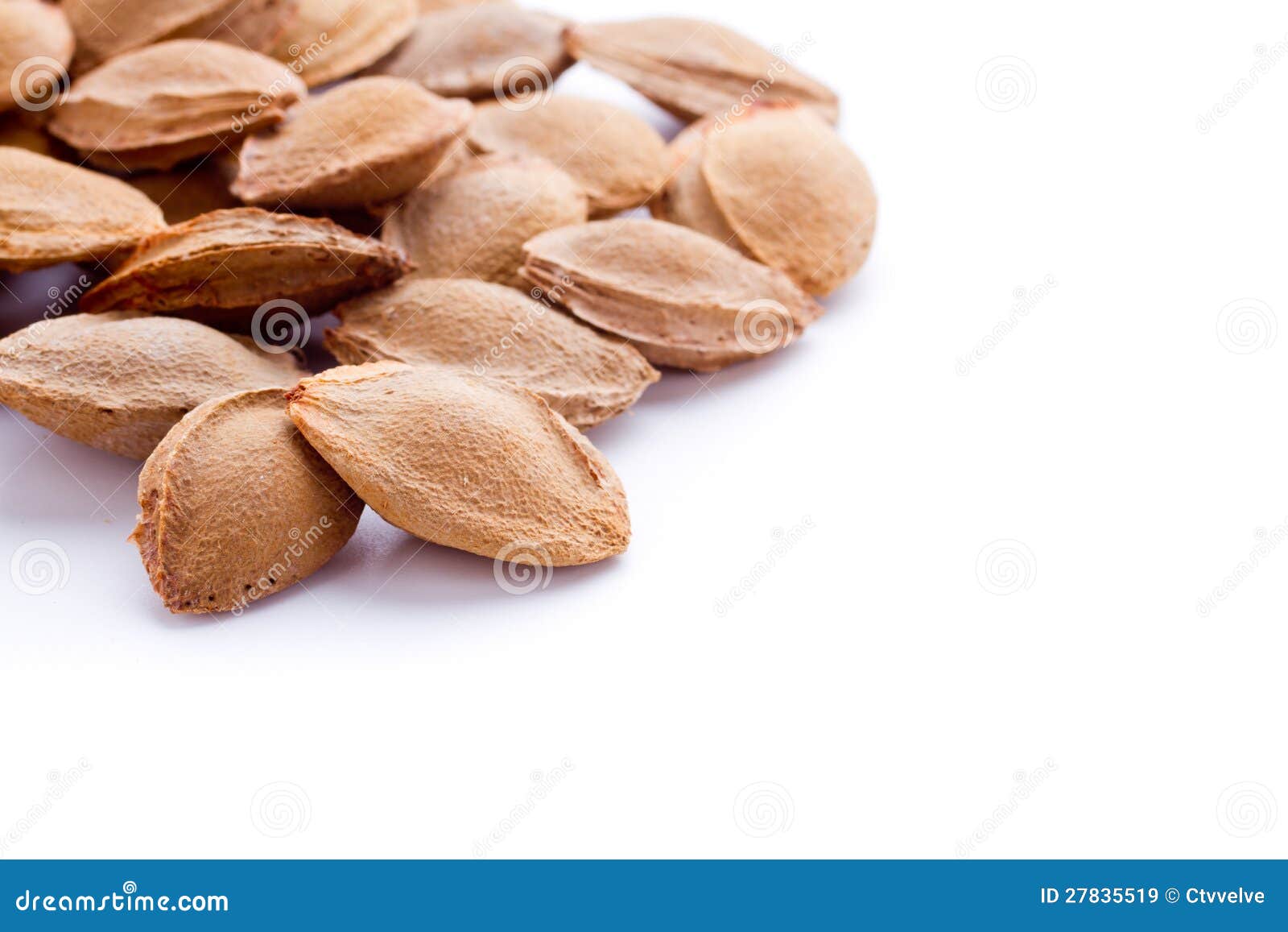 A heap of apricot pits stock image. Image of vegetarian - 27835519