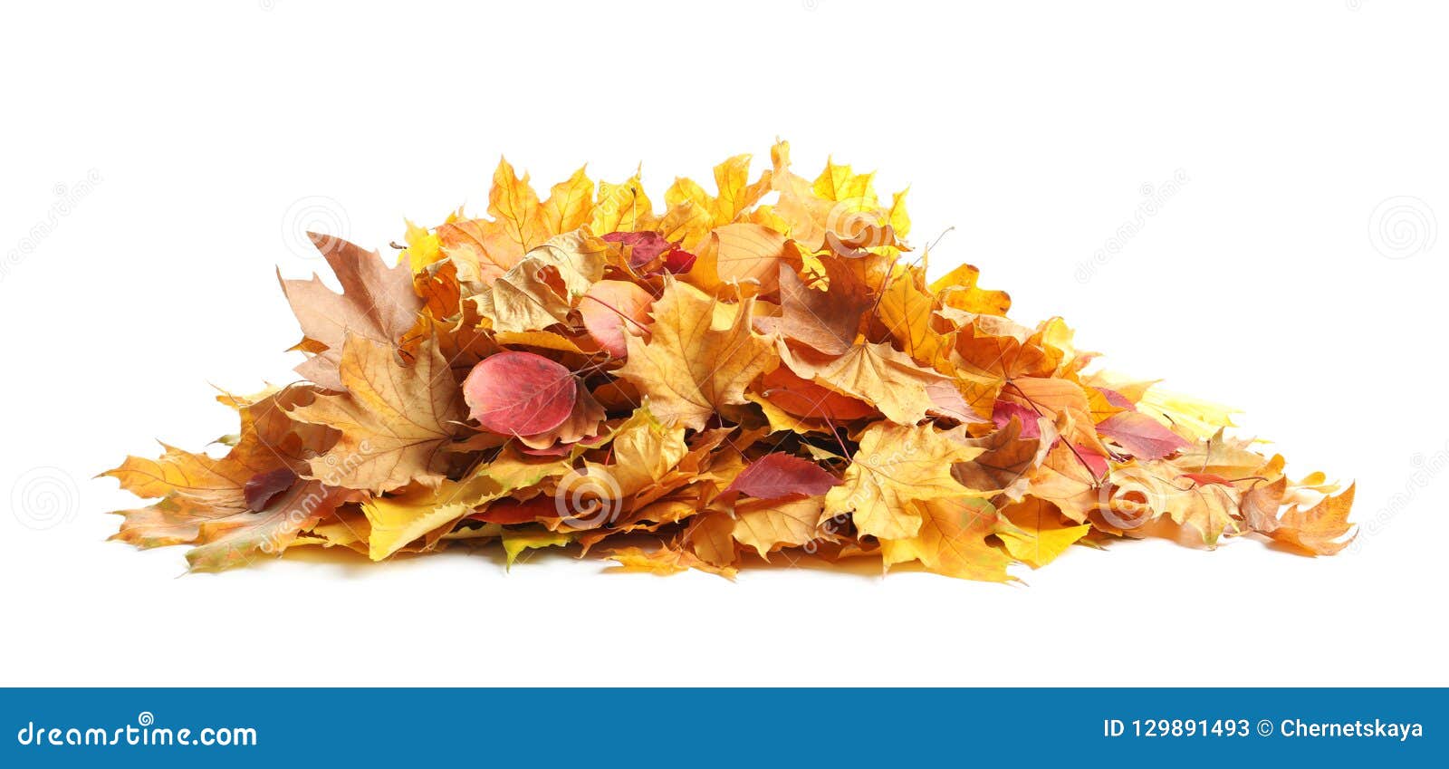 Heap of autumn leaves stock image. Image of foliage - 129891493