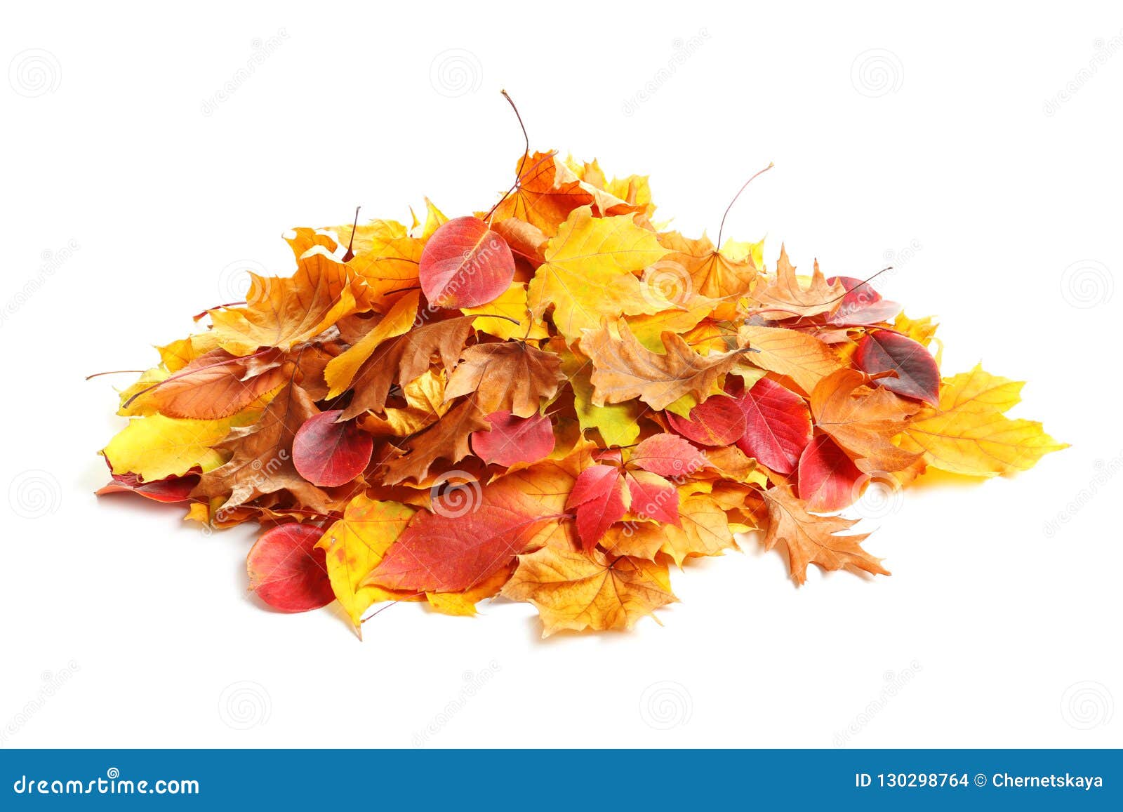 Heap of autumn leaves stock photo. Image of maple, decor - 130298764