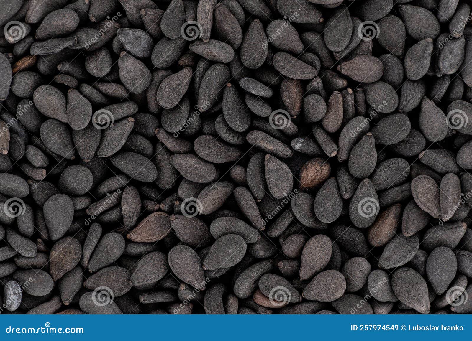 Heap of Black Sesame Seeds, Microscopy Detail, Image Width 23mm Stock ...