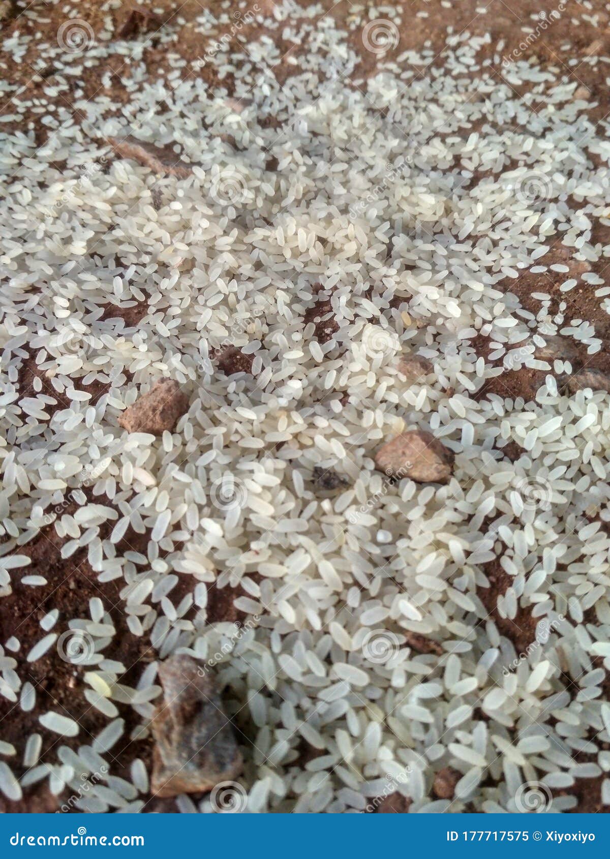 Heap of brown rice. stock image. Image of grain, rice - 177717575