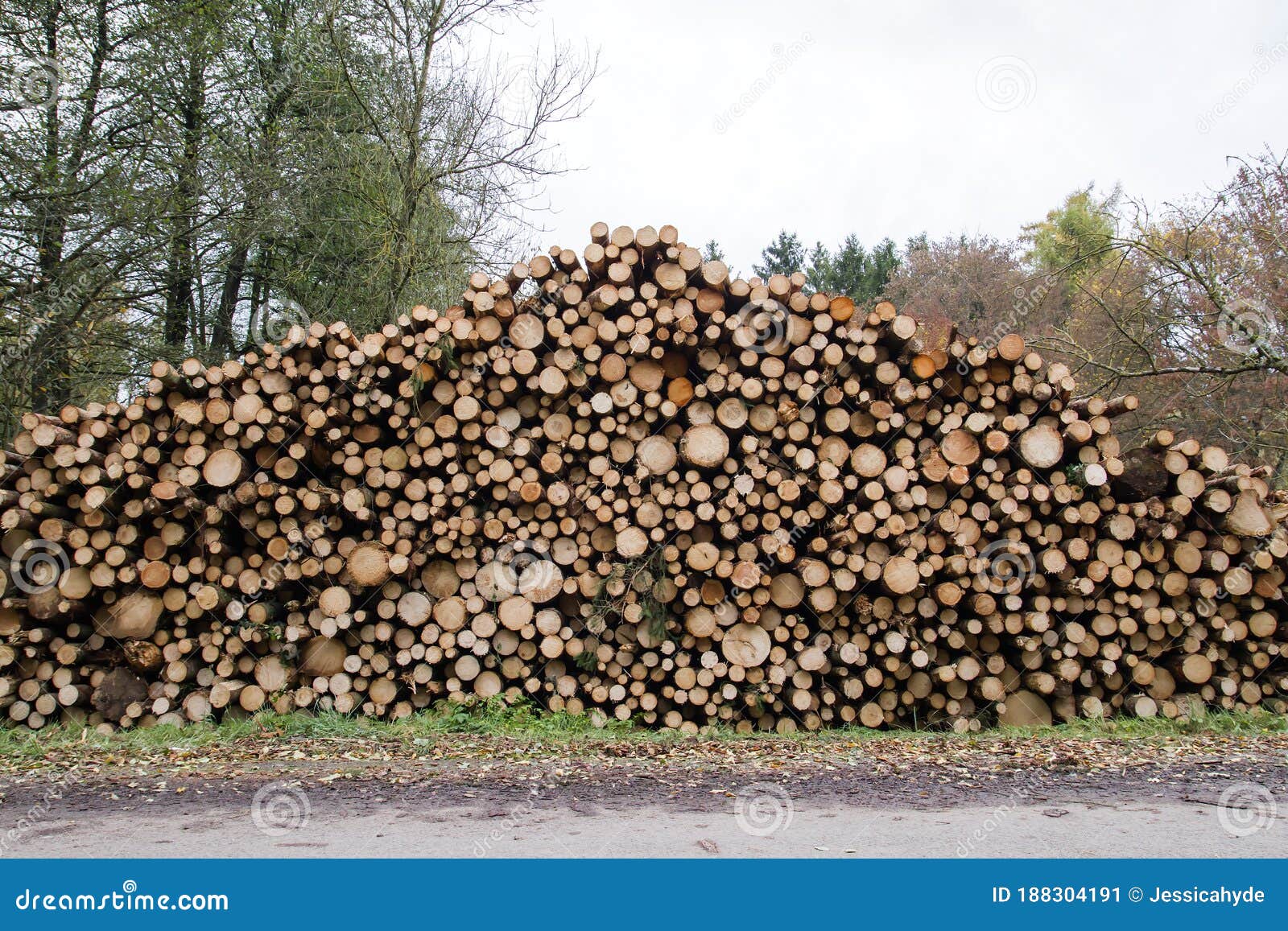 Heap of chopped down logs stock image. Image of natural - 188304191