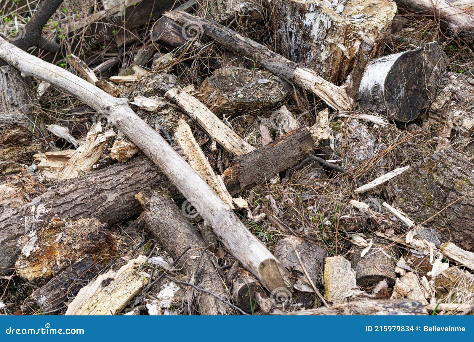 Heap of Construction Wooden Debris Close-up. Stock Photo - Image of ...