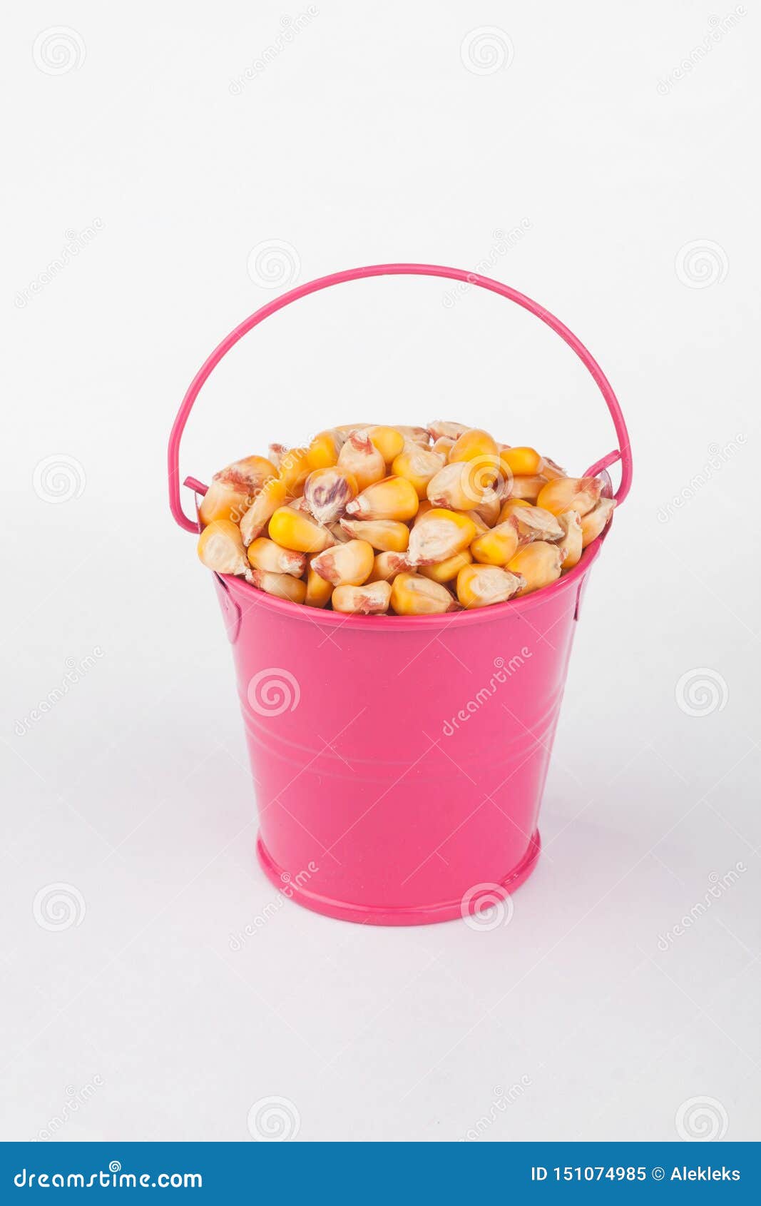 Heap Corn Grains in Pink Bucket on White Background Stock Image - Image ...