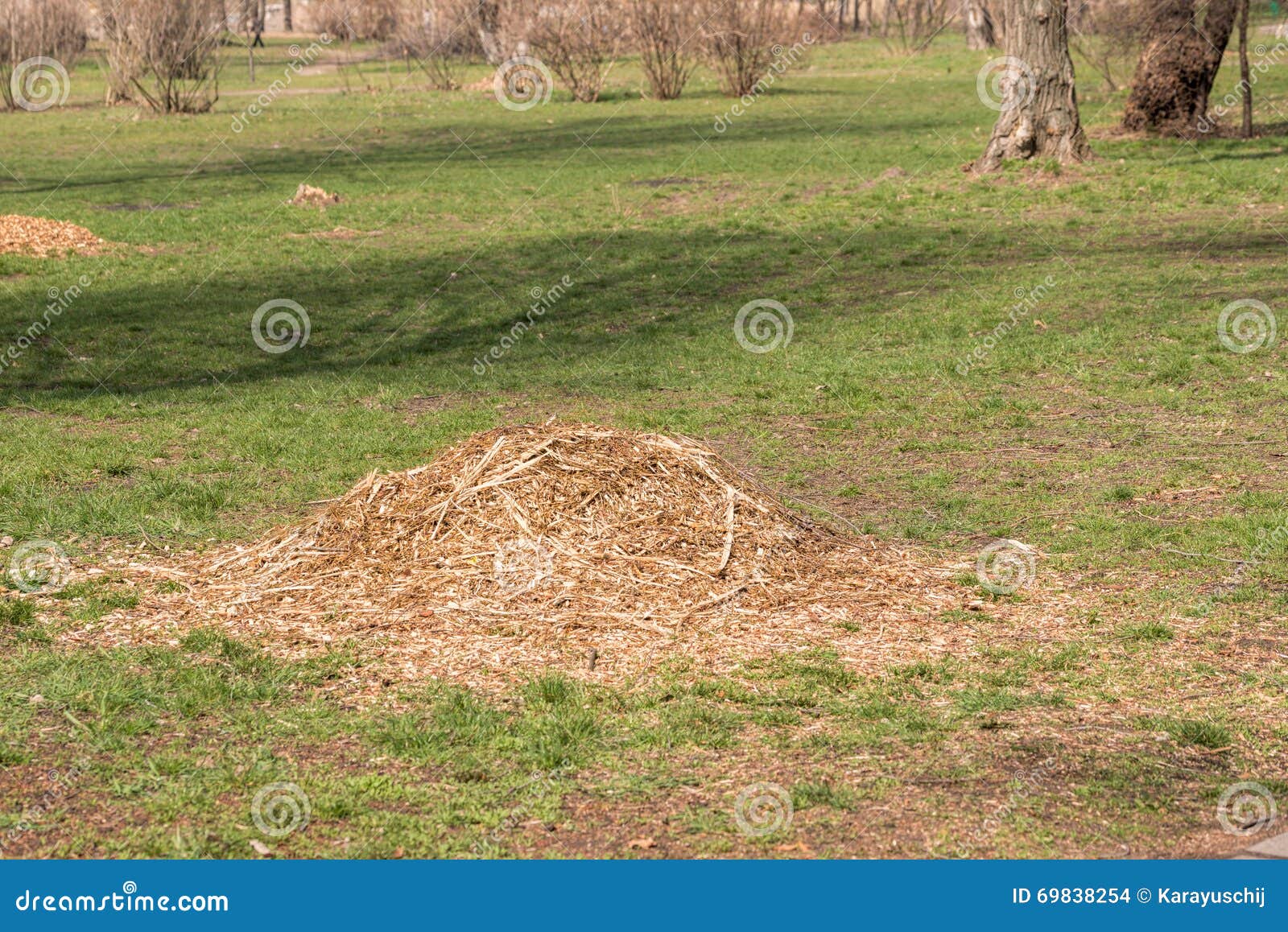 Heap of Crushed Tree Branches Stock Photo - Image of material, broken ...