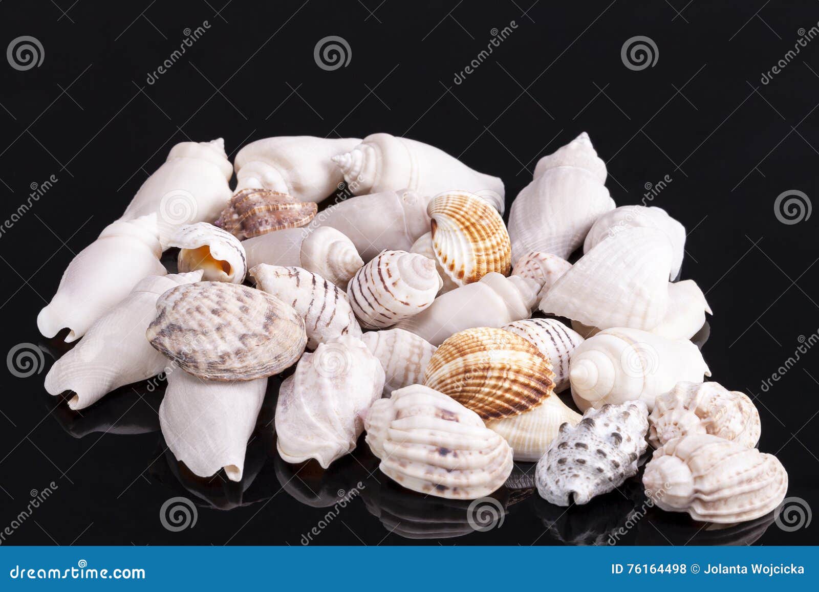 Heap Of Different Kind Of Small Sea Shells Isolated On Black Background ...
