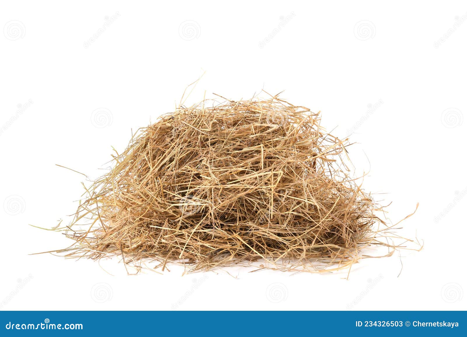 Heap of Dried Hay on White Background Stock Image - Image of ...