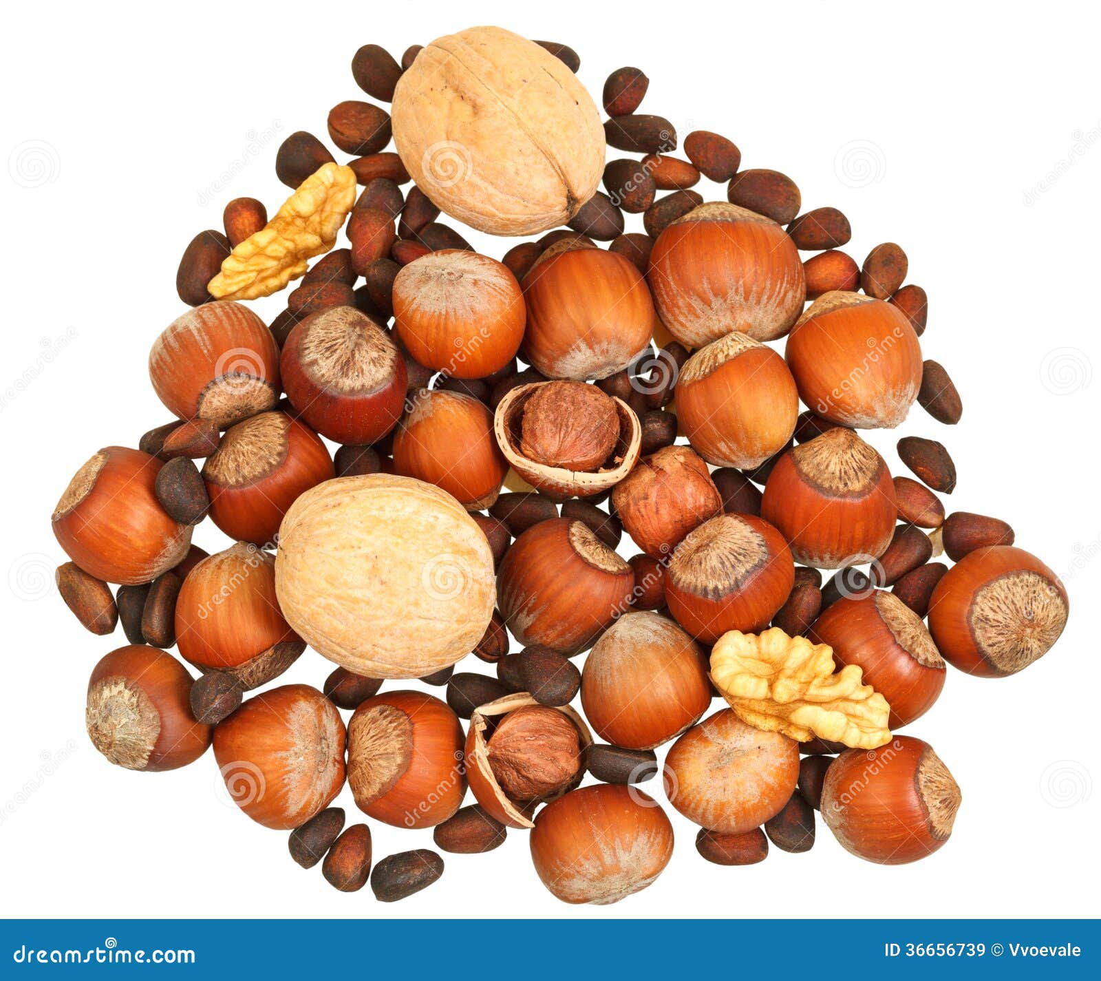 Heap of Dried Nuts Isolated Stock Image - Image of forest, filbert ...