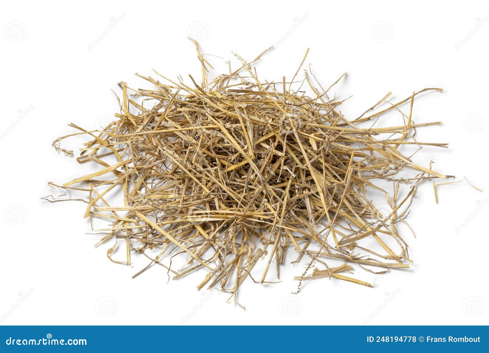 Dried Straw Plants Pack For Wall, Roof, Hut. Abstract Textured ...