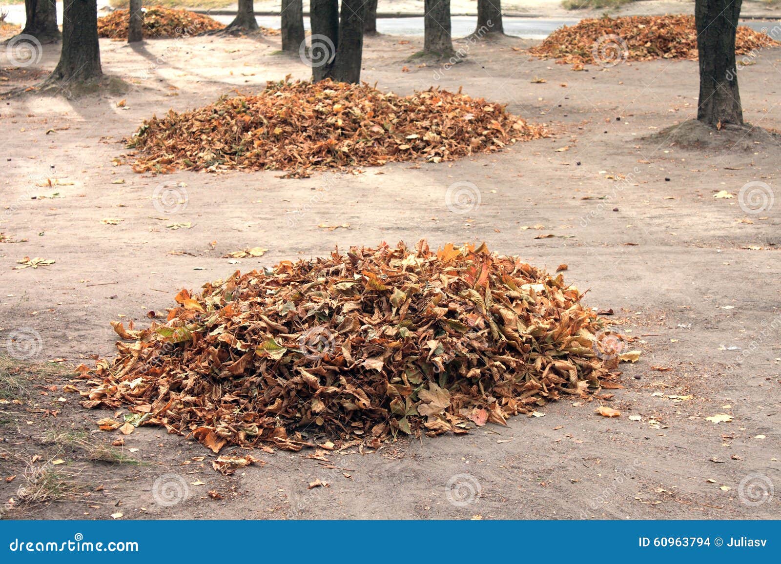 Heap Of Dry Leaves In Autumn Time Stock Photo - Image: 60963794