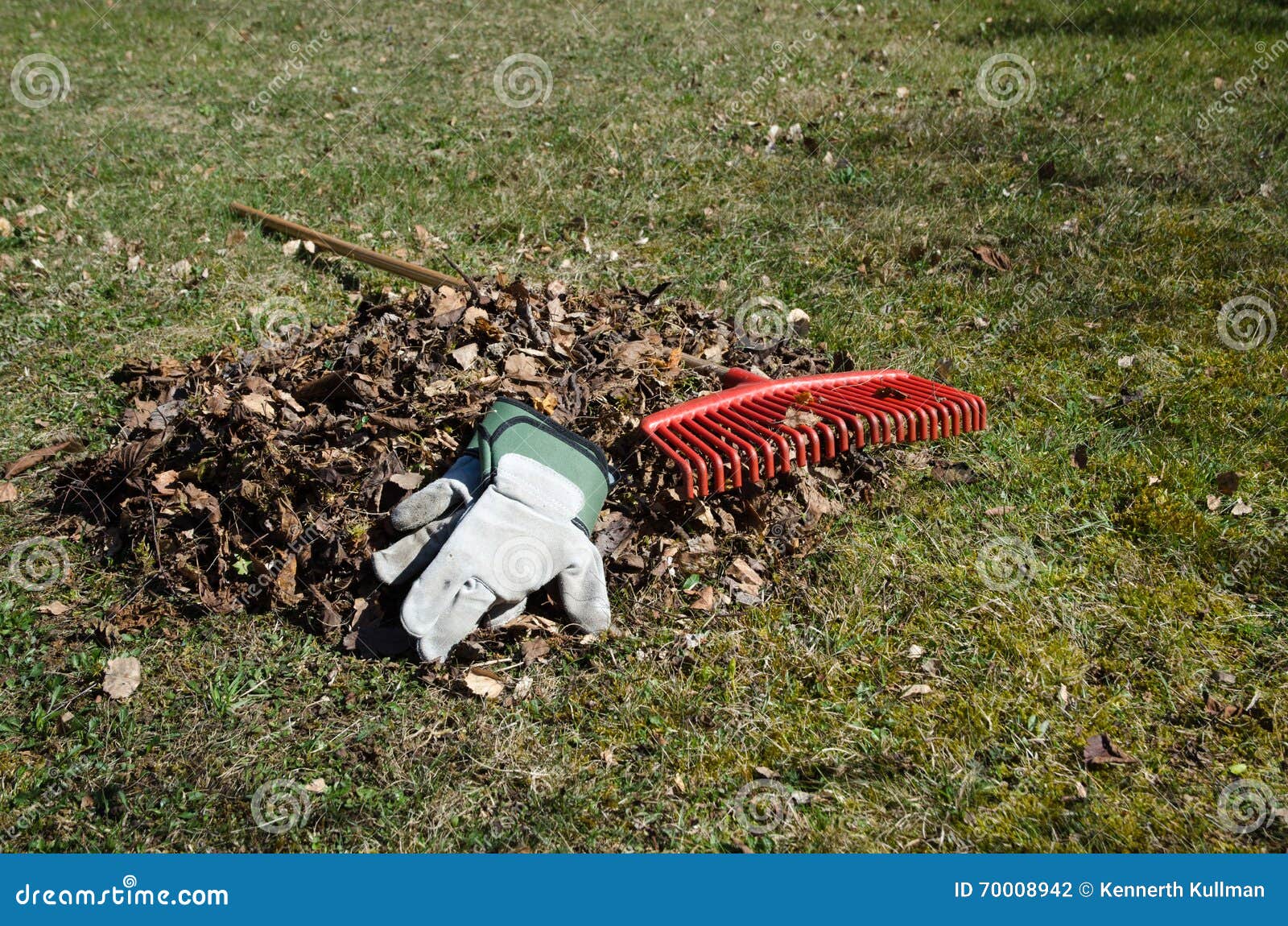 Heap of Dry Leaves at a Break in the Garden Stock Photo - Image of ...