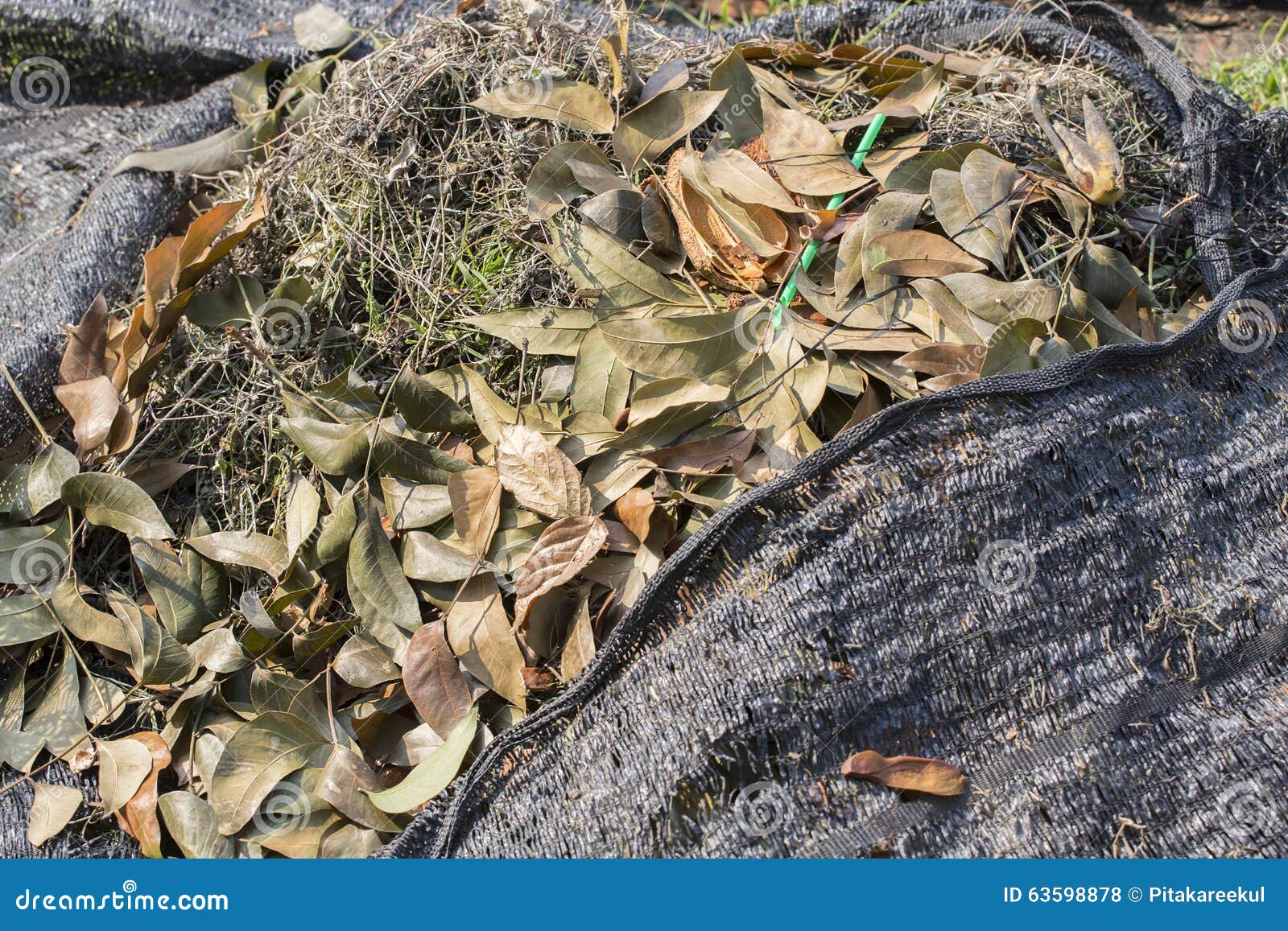 Heap of Dry Leaves and Waste Stock Photo - Image of pile, flora: 63598878