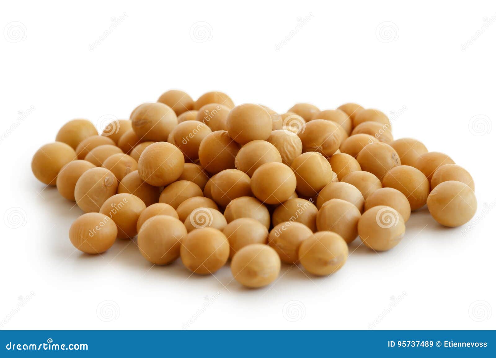 Heap of dry soya beans stock image. Image of heap, oilseed - 95737489