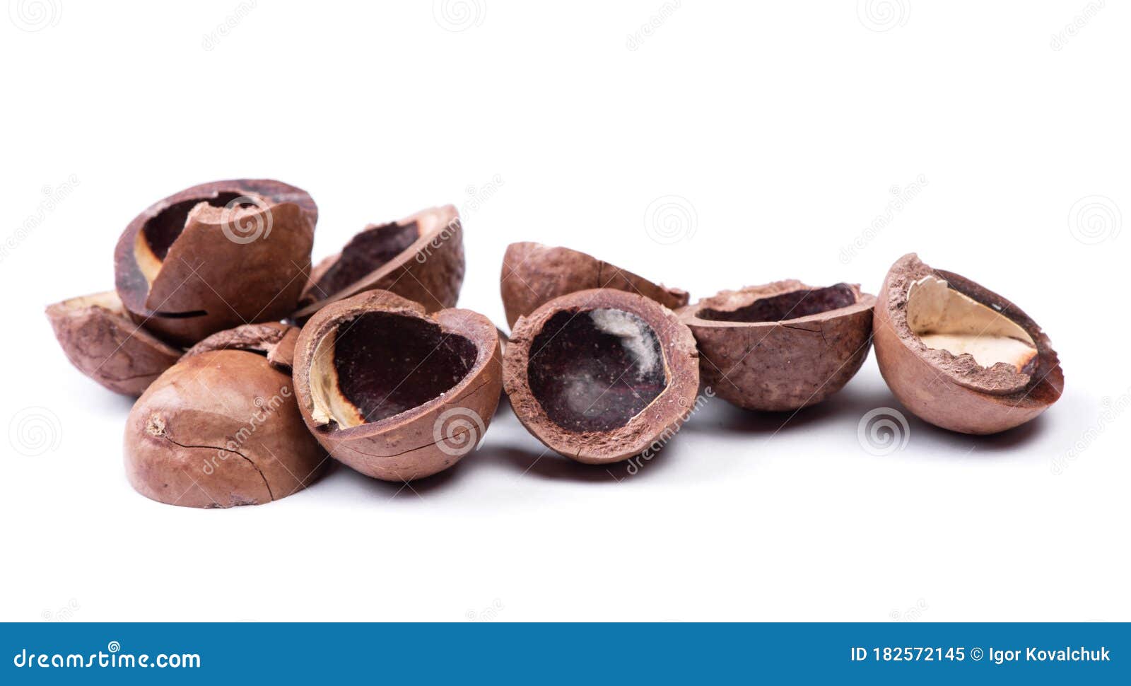 Macadamia Nut Shell