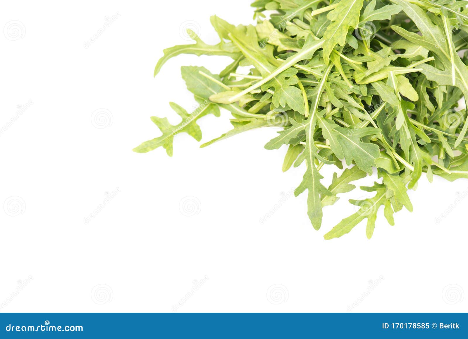Fresh Arugula Leaves on a White Background Stock Image - Image of close ...