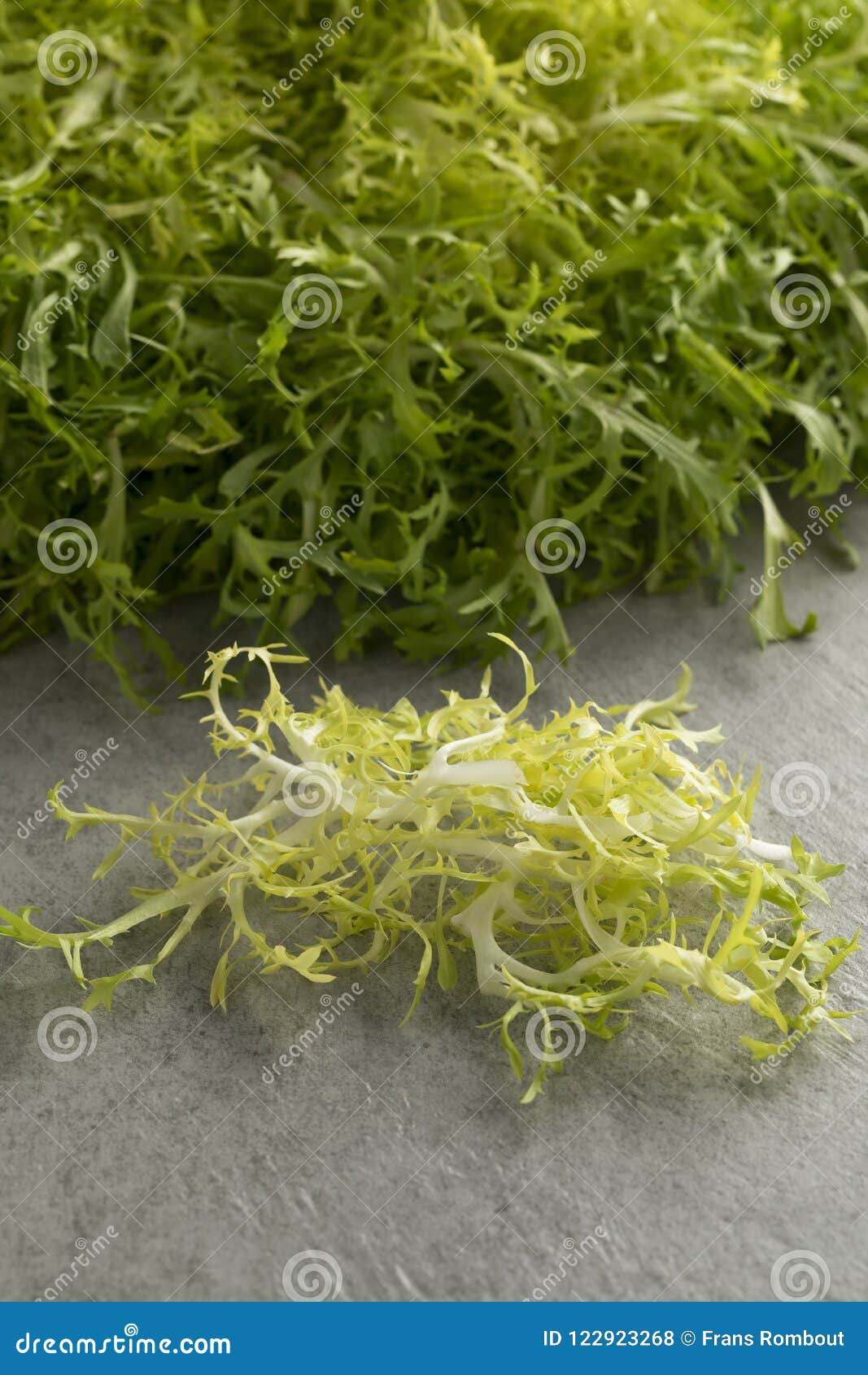 Heap of Fresh Frisee Lettuce Stock Photo - Image of frisee, heap: 122923268