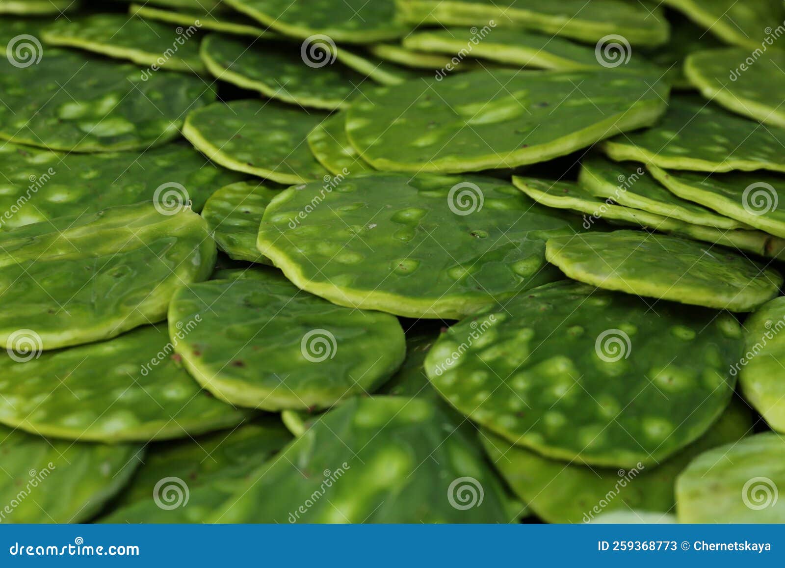 Heap of Fresh Nopal Leaves As Background, Closeup Stock Image - Image ...