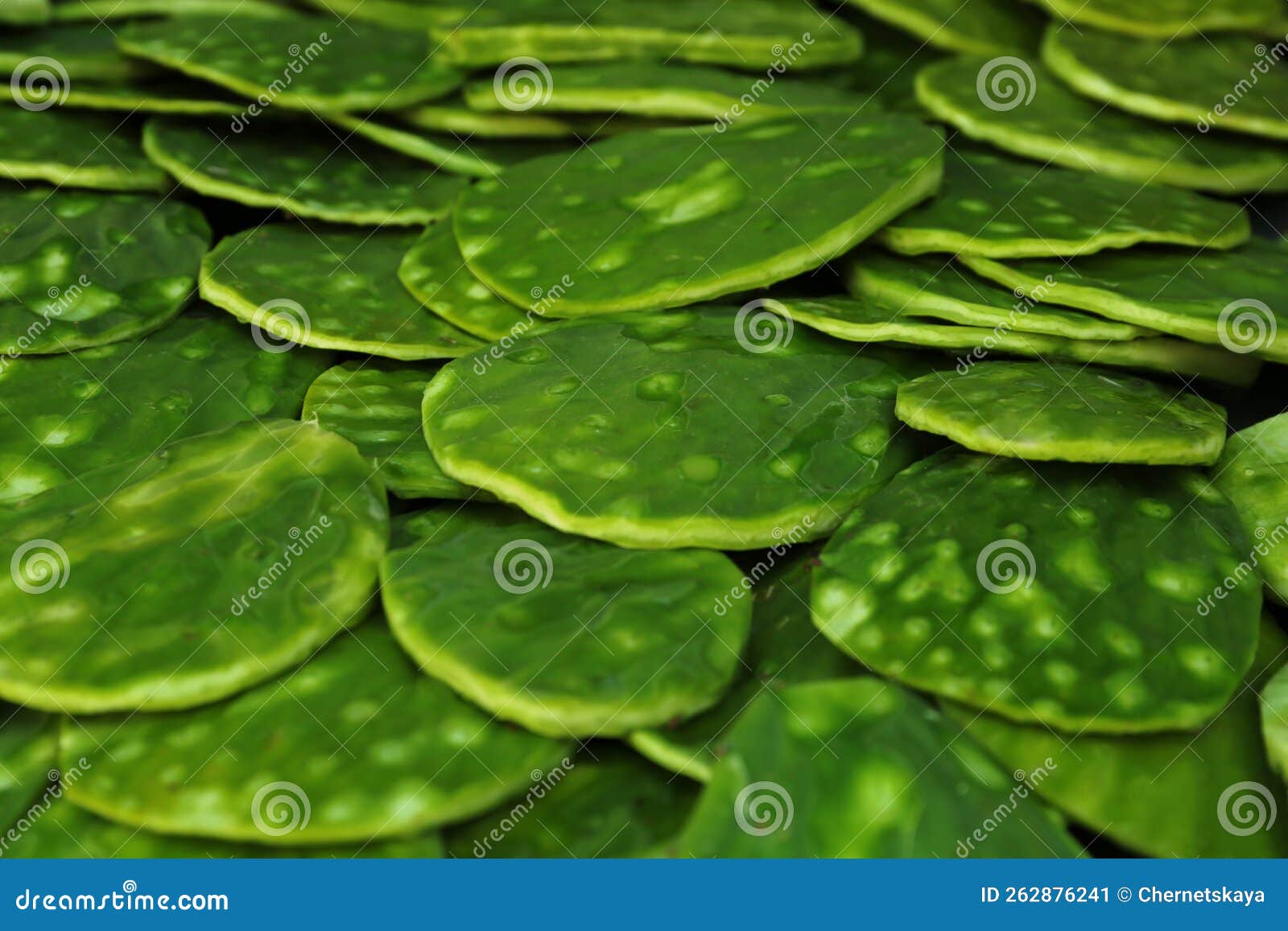 Heap of Fresh Nopal Leaves As Background, Closeup Stock Image - Image ...