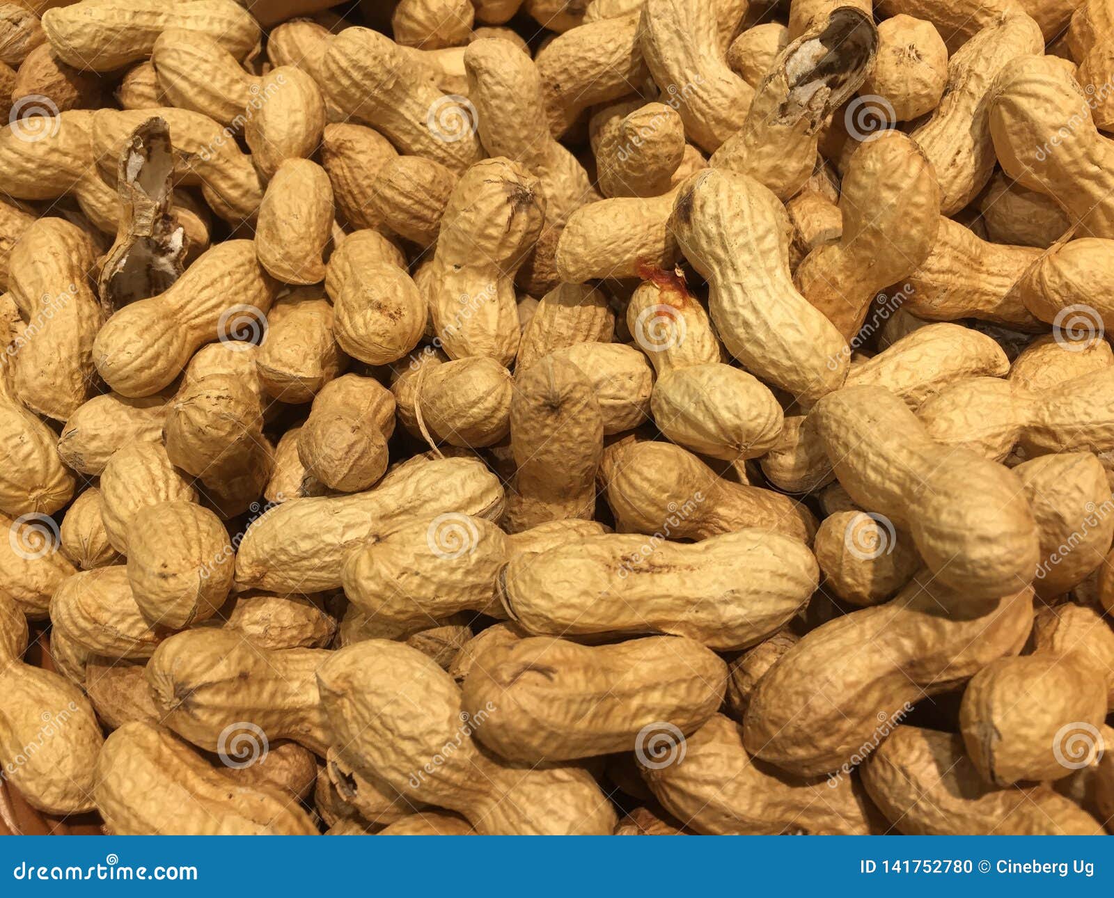 Peanuts stock photo. Image of snack, fresh, health, groundnut - 141752780