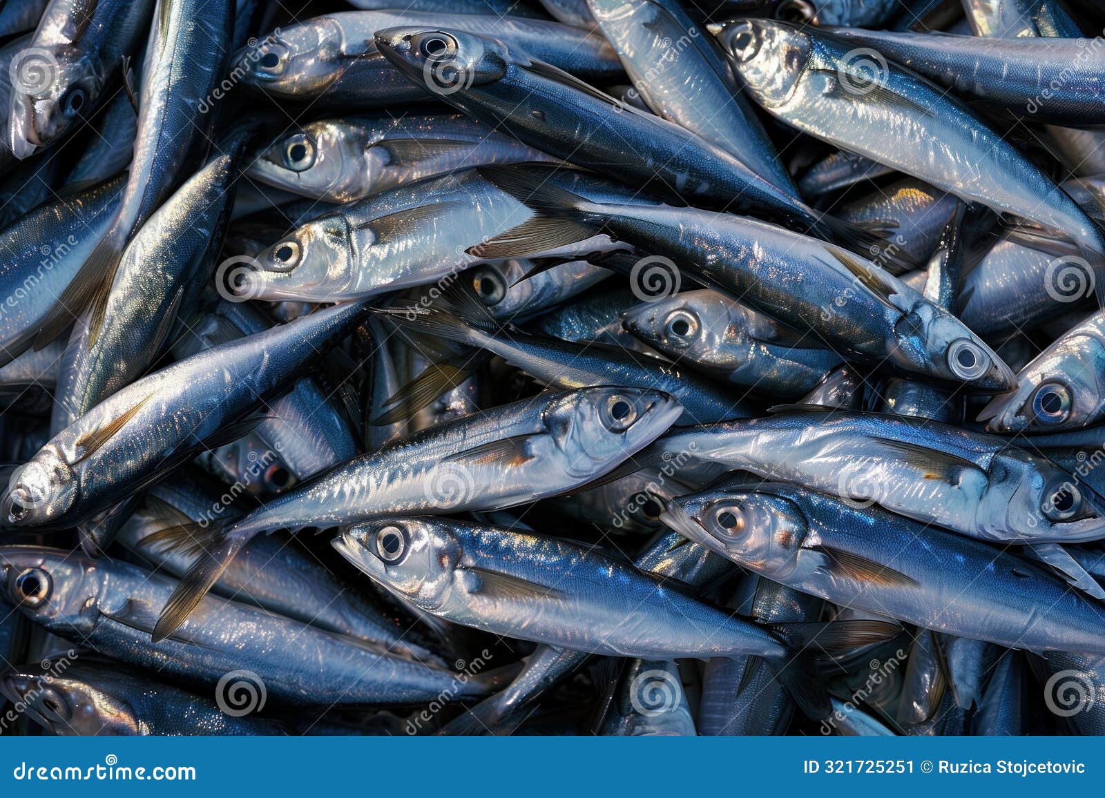Fresh Sardines On Ice. Seafood Background. Generative AI Royalty-Free ...