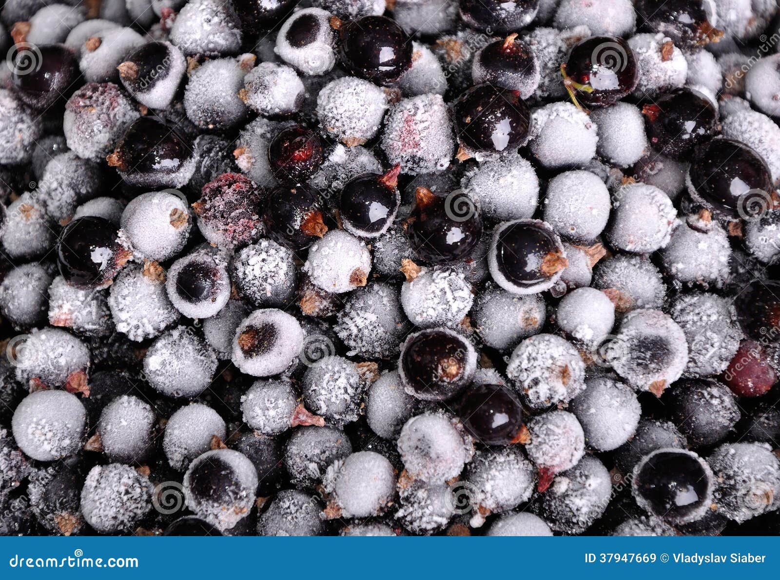 Heap Frozen Black Currant As Background Stock Photos - Free & Royalty ...