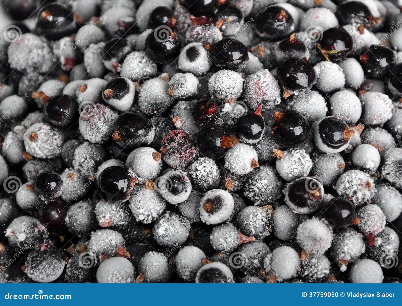 Heap of Frozen Black Currant Stock Photo - Image of heap, condensate ...