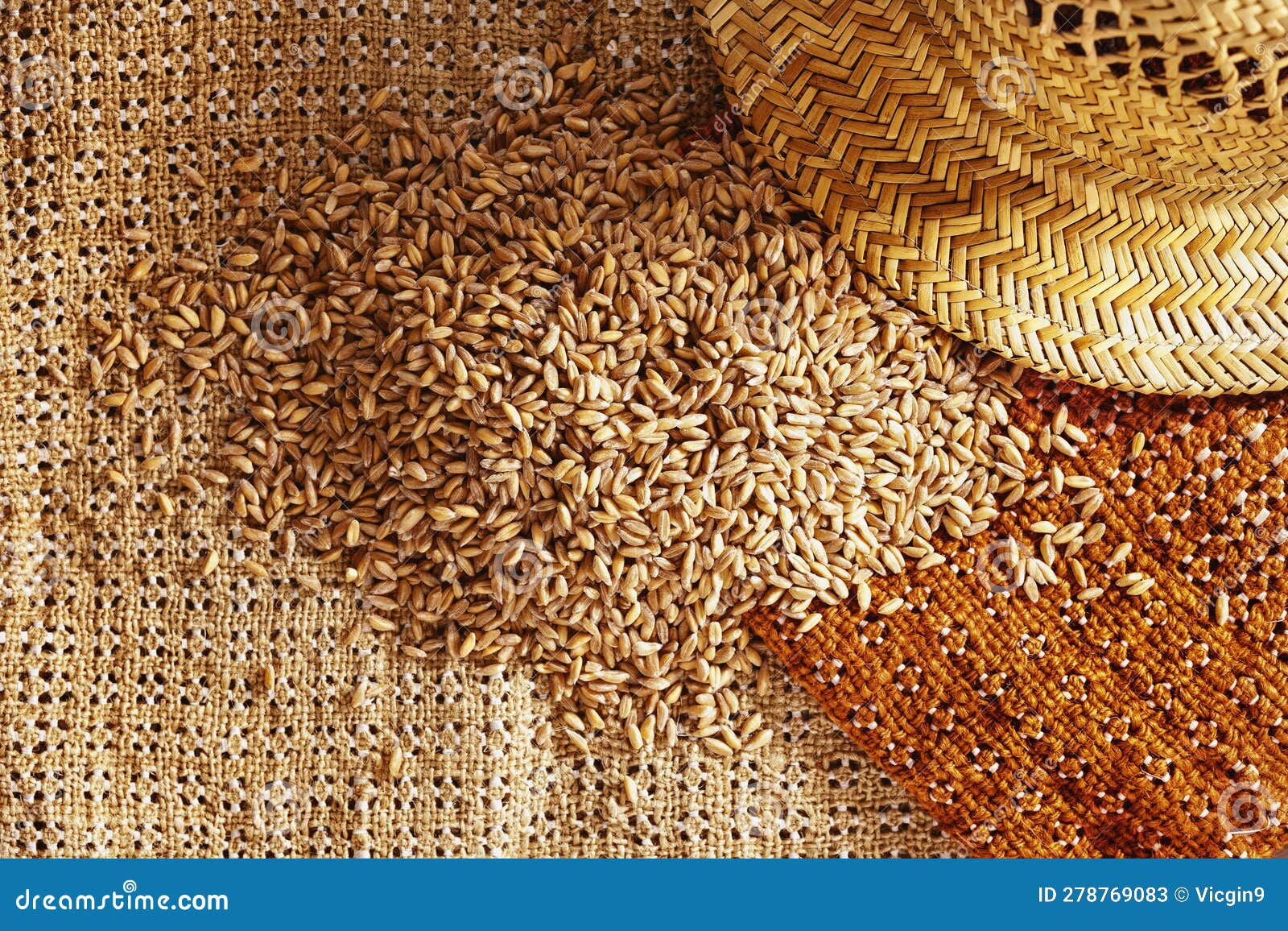 Heap of grains of spelt stock image. Image of vegetarian - 278769083