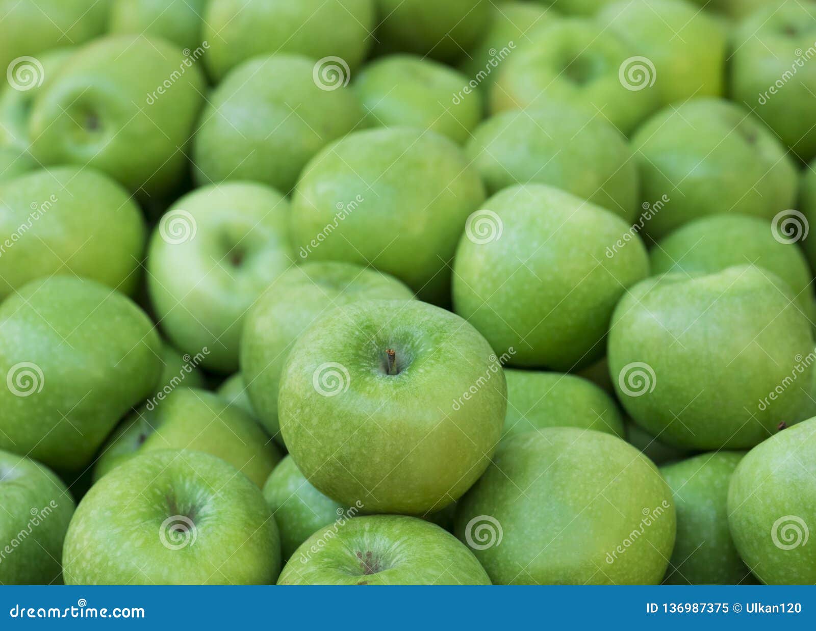 Heap Green Apples. Fall Harvest Selective Focus Stock Image - Image of ...
