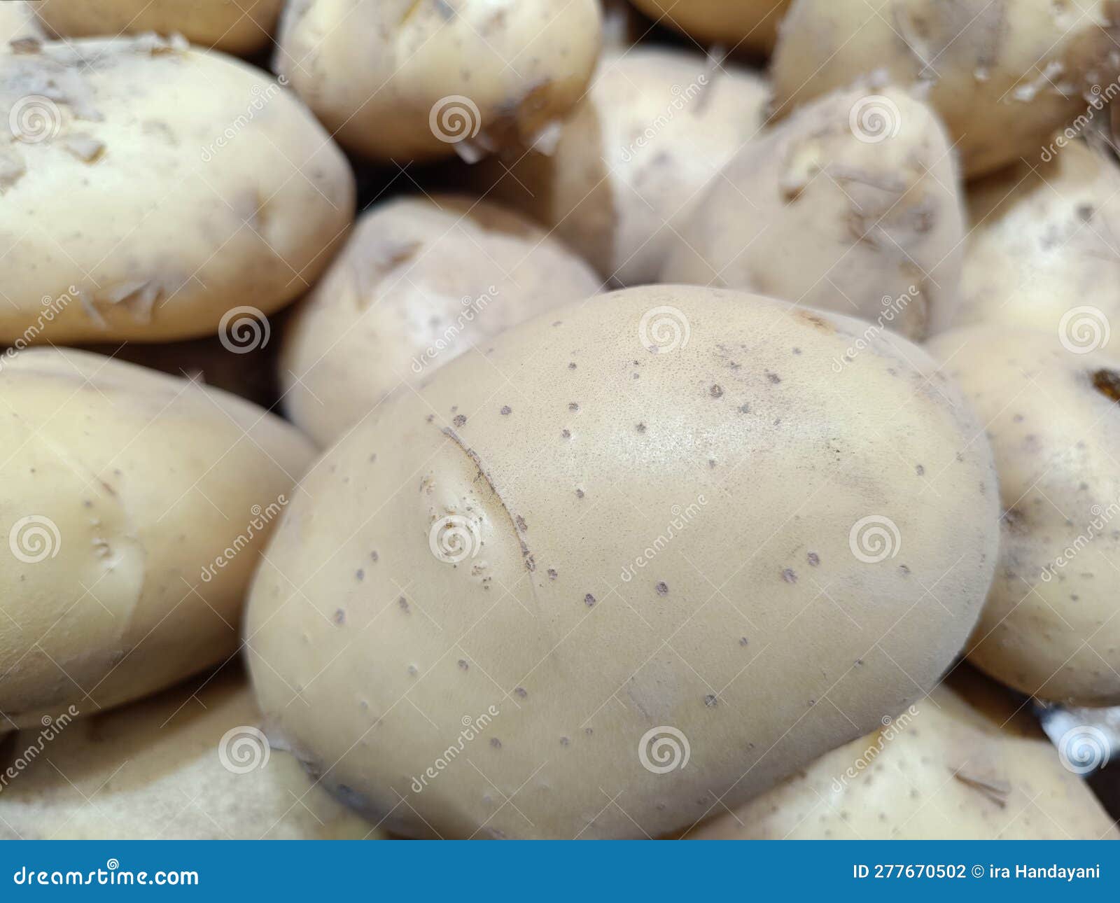 Heap of harvested potatoes stock photo. Image of fresh - 277670502