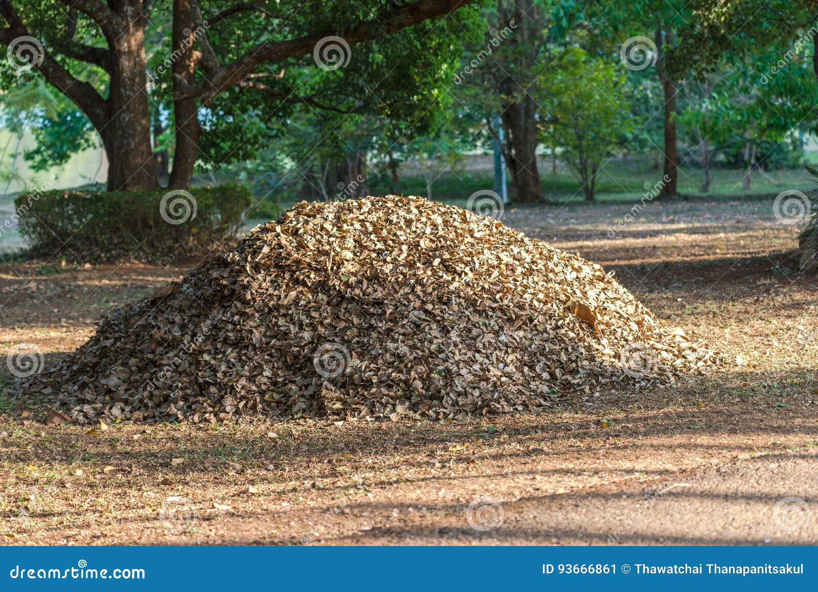 A Heap of Leaves Fall in the Gardens. Stock Image - Image of people ...