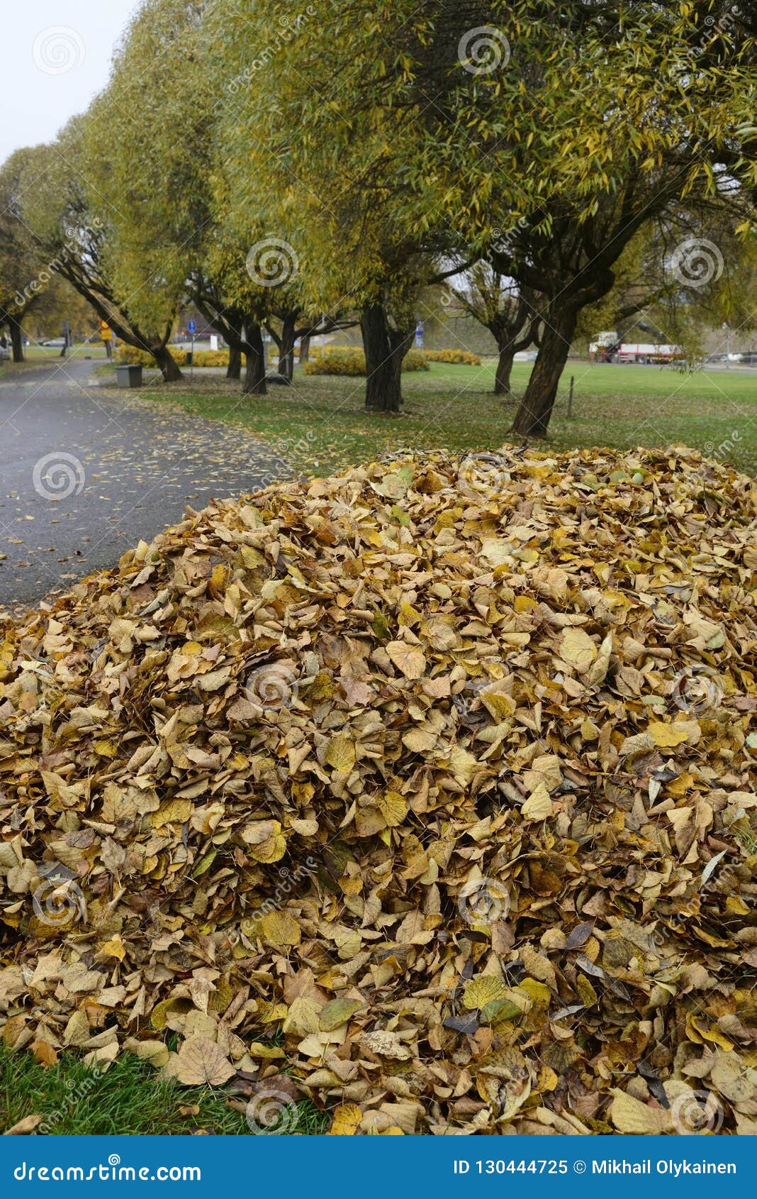 Heap of Leaves in the Park in Autumn Stock Image - Image of ...