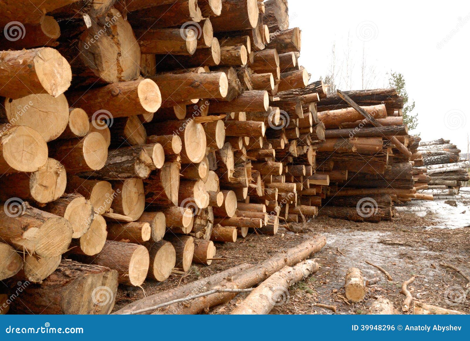 Heap log stock photo. Image of heap, frame, timber, woodpile - 39948296