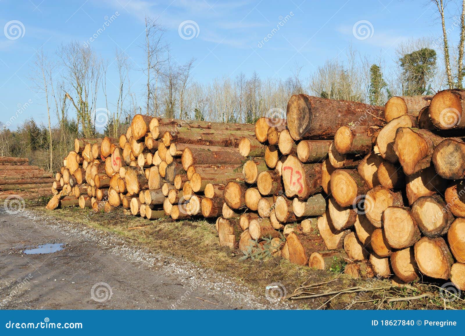 Heap of logs stock photo. Image of destruction, brown - 18627840